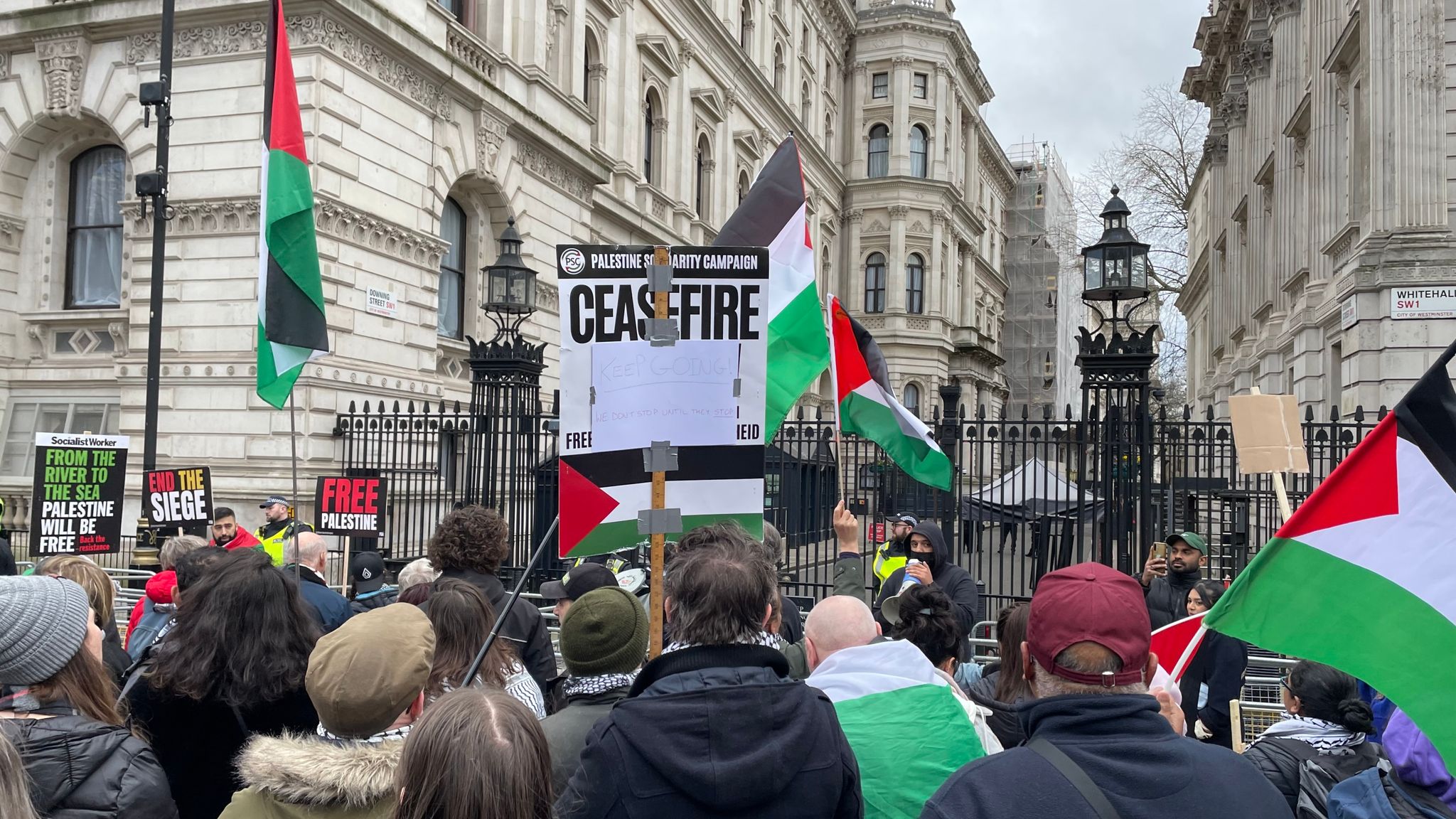 Pro-Palestine demonstrators promise to march for 'as long as it takes ...