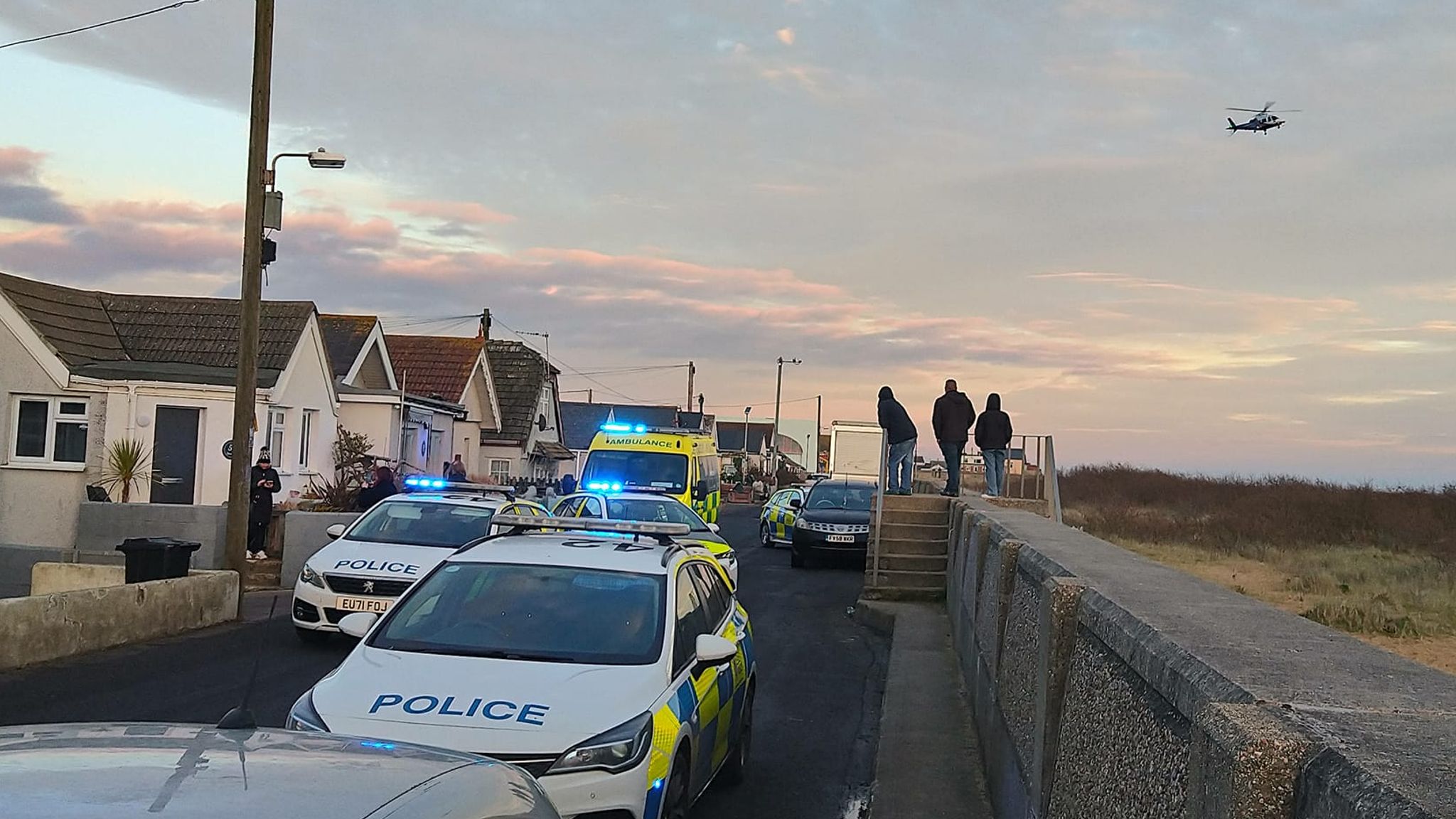 Esther Martin, 68, dies after being mauled by two 'XL bully' dogs in ...