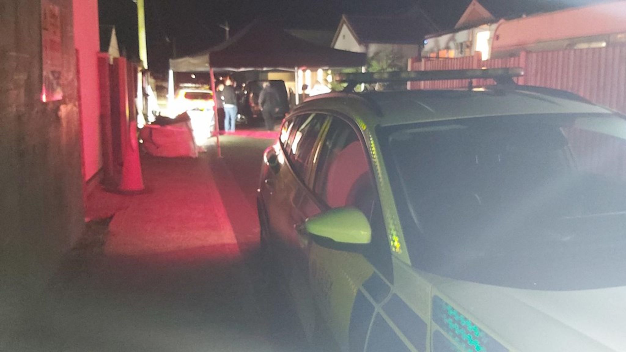 Esther Martin, 68, dies after being mauled by two 'XL bully' dogs in ...