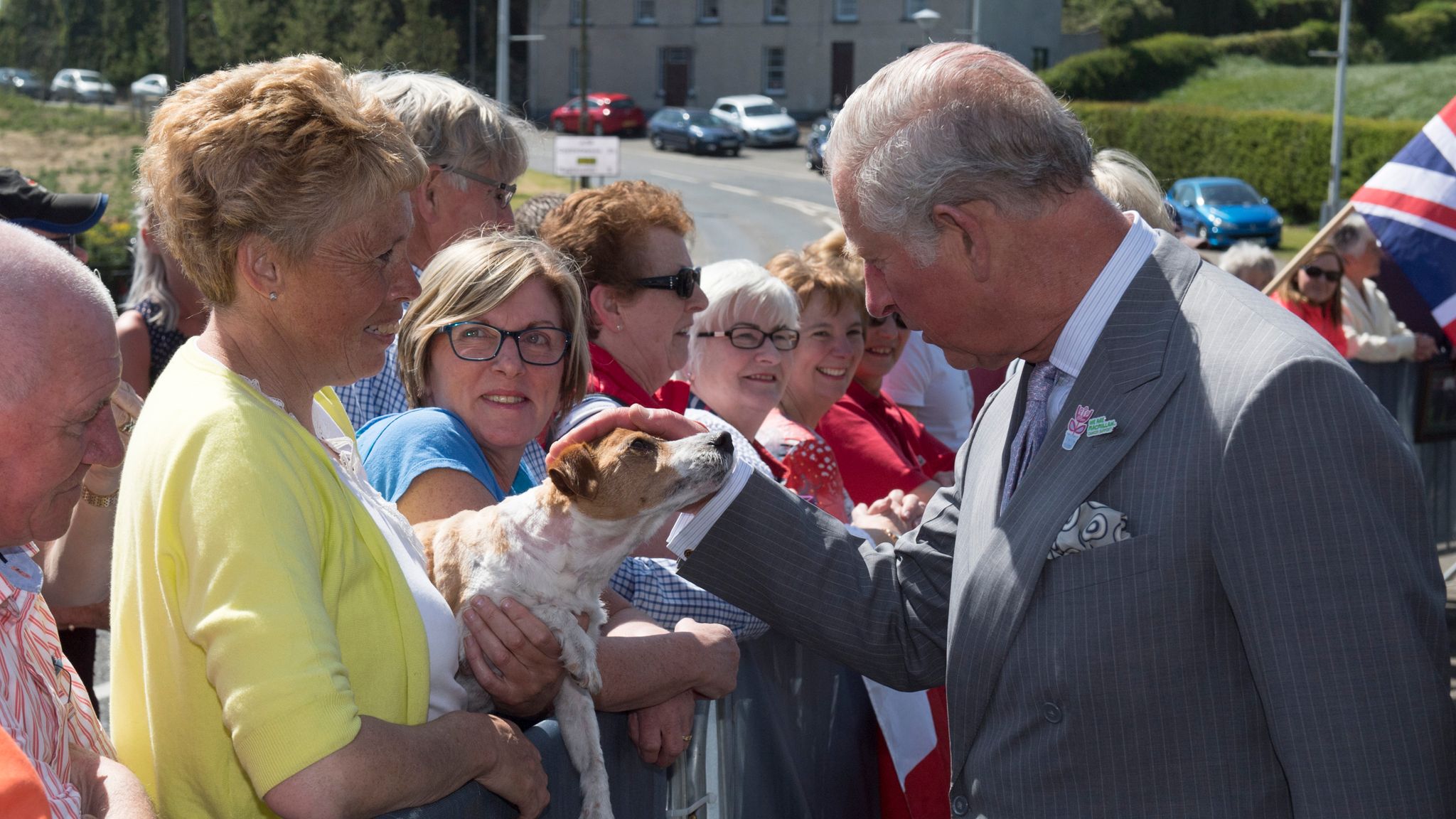 Scottie dogs face uncertain future as people turn their backs on breed ...