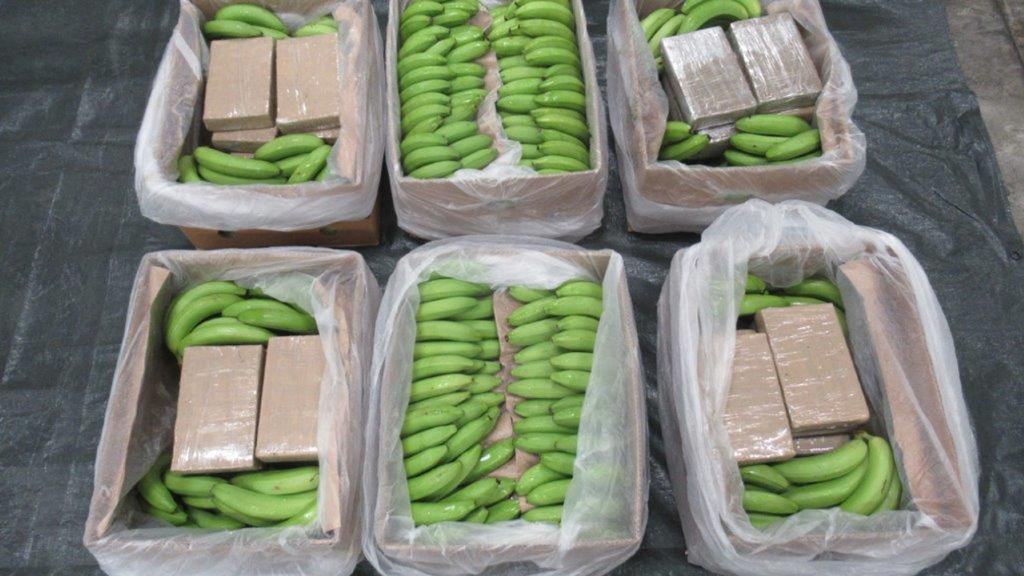 Cocaine haul worth £450m found hidden in banana shipment in largest ...