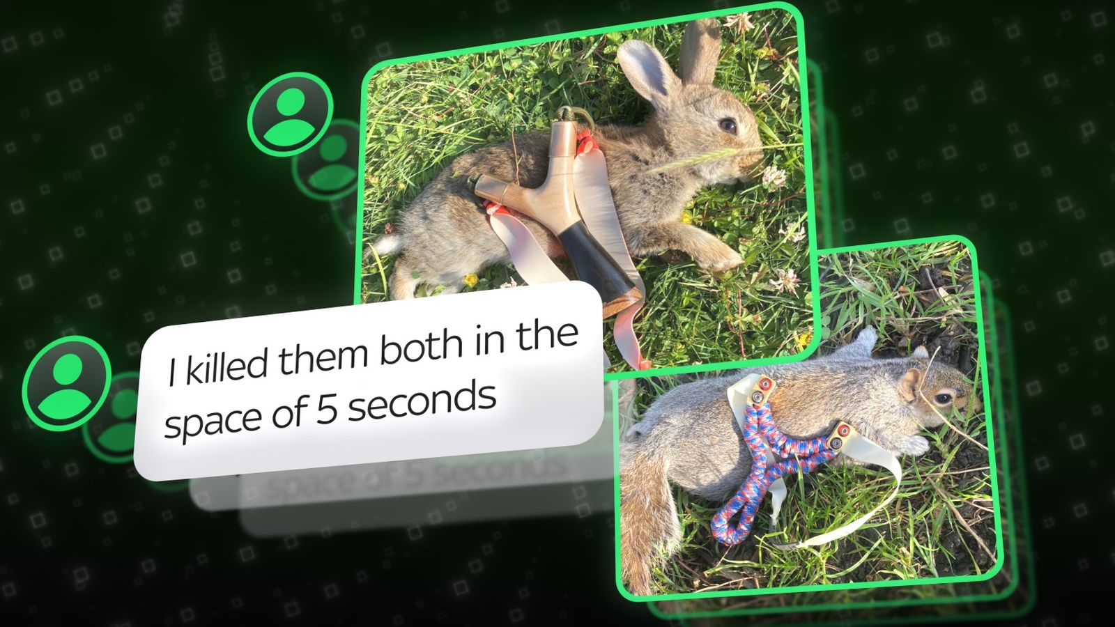 Police in plea to catch catapult attackers targeting animals following ...