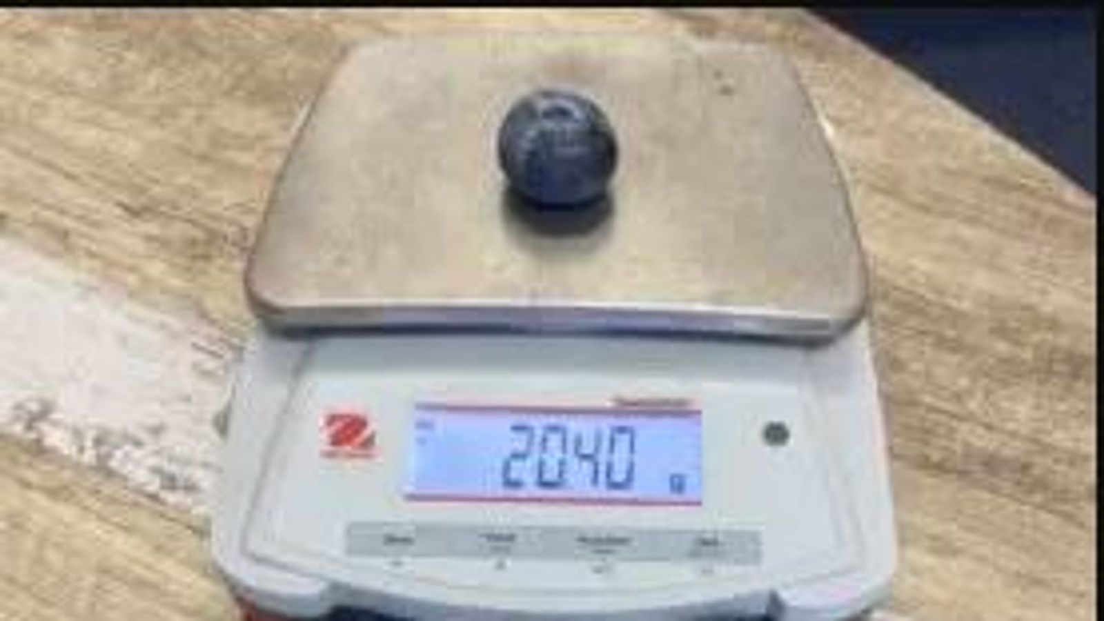 Blueberry grown in Australia smashes Guinness World Record as world's ...