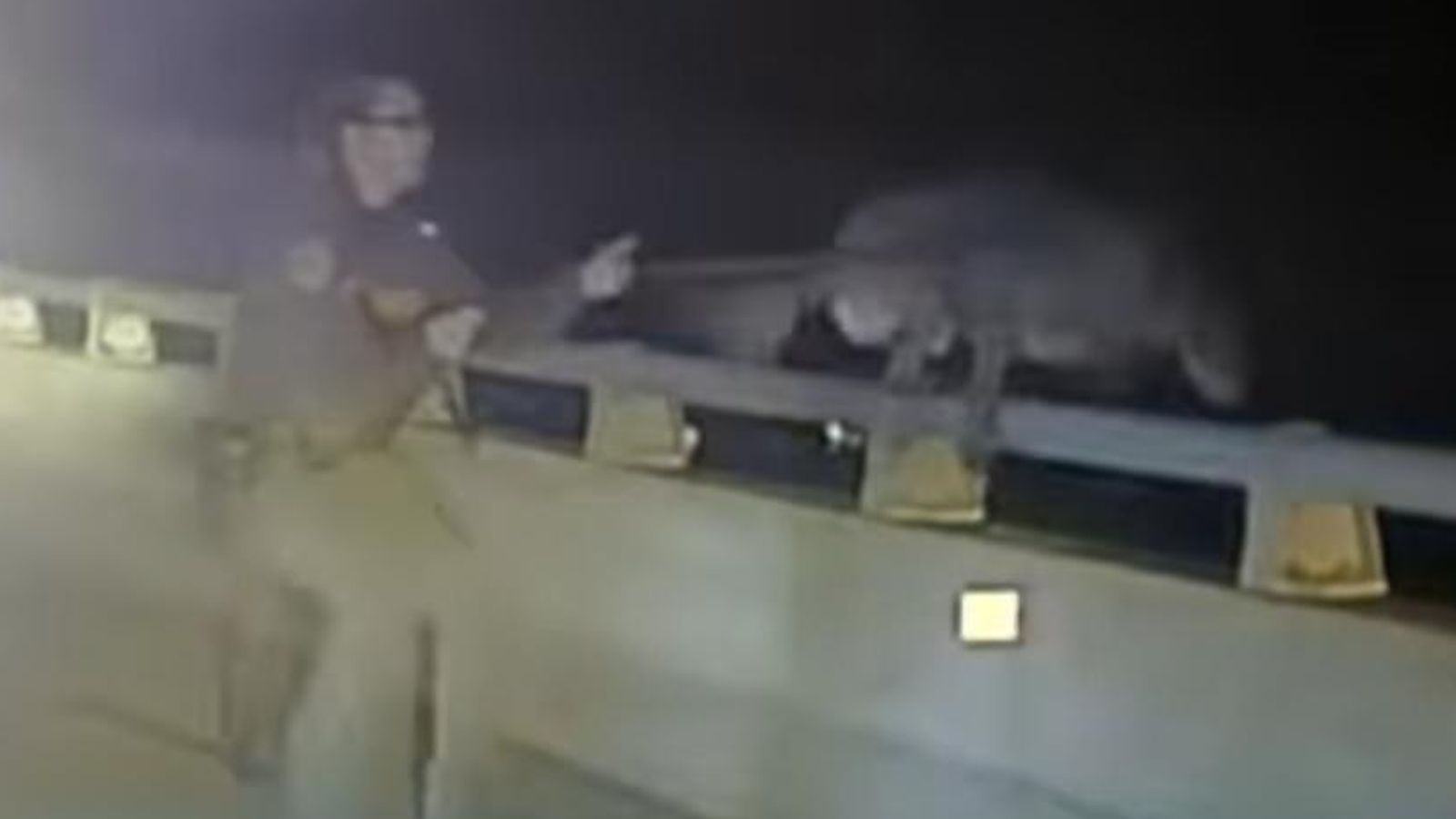 Deputy saves police dog that jumped off 75-foot bridge | US News | Sky News