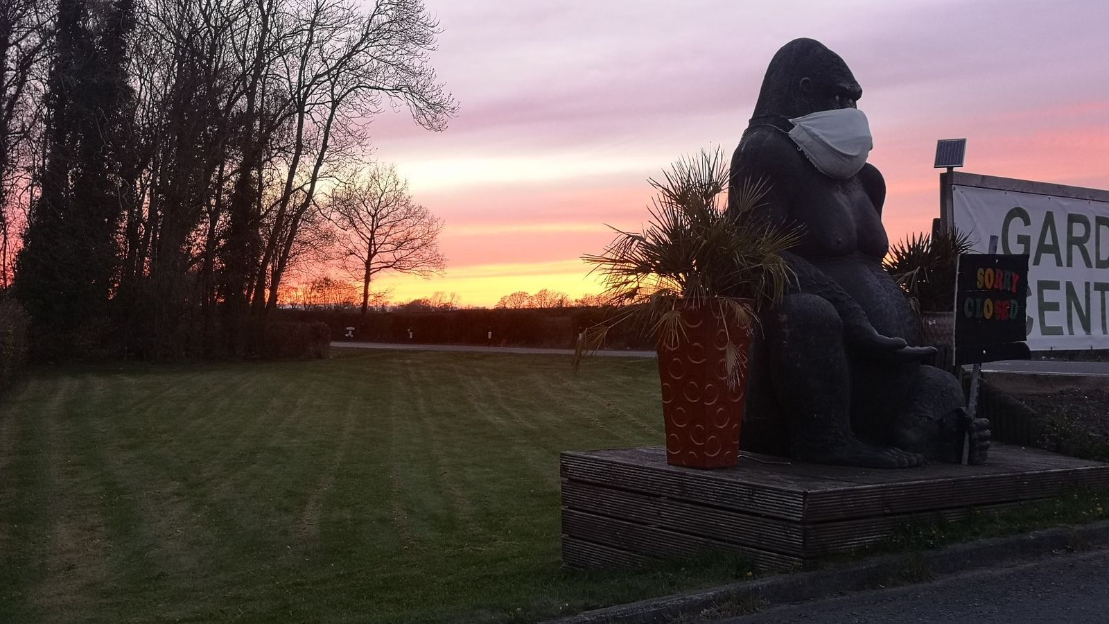 Gary the Gorilla statue 'sawn in half' after theft from Scottish garden ...