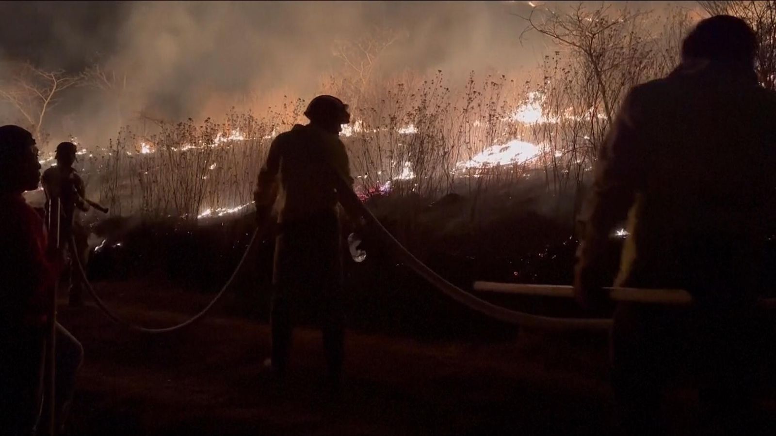 Mexico: Strong winds aggravate forest fires across Mexico | World News ...