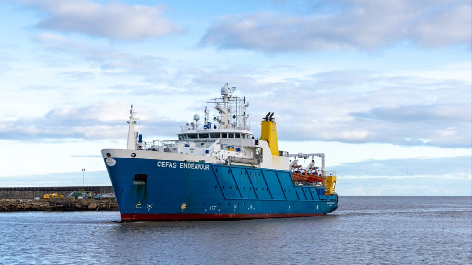 New species of sea creature discovered by scientists in UK waters | UK ...