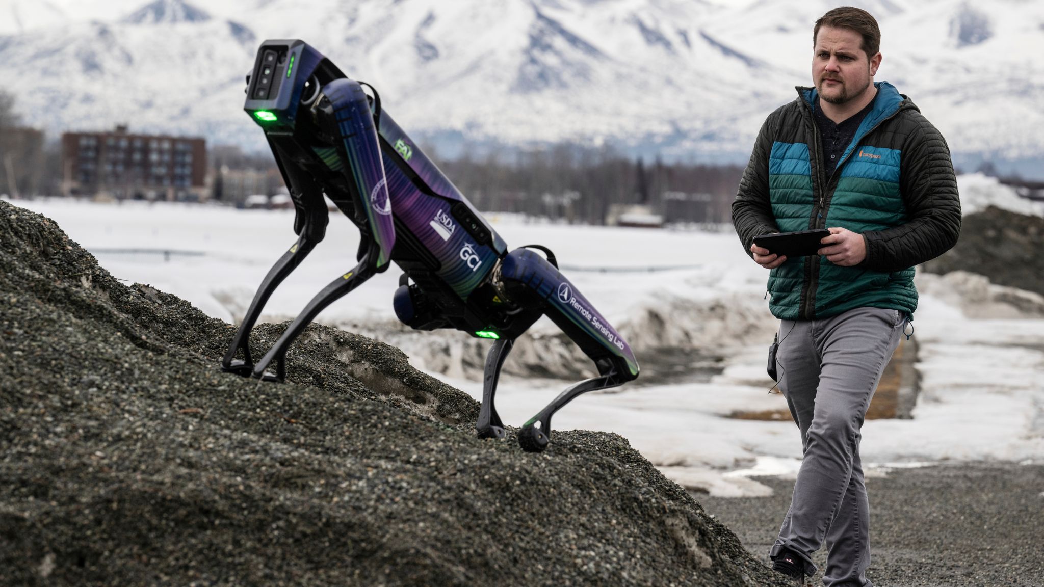 Headless, dog-sized robot to patrol Alaska airport to prevent bird ...