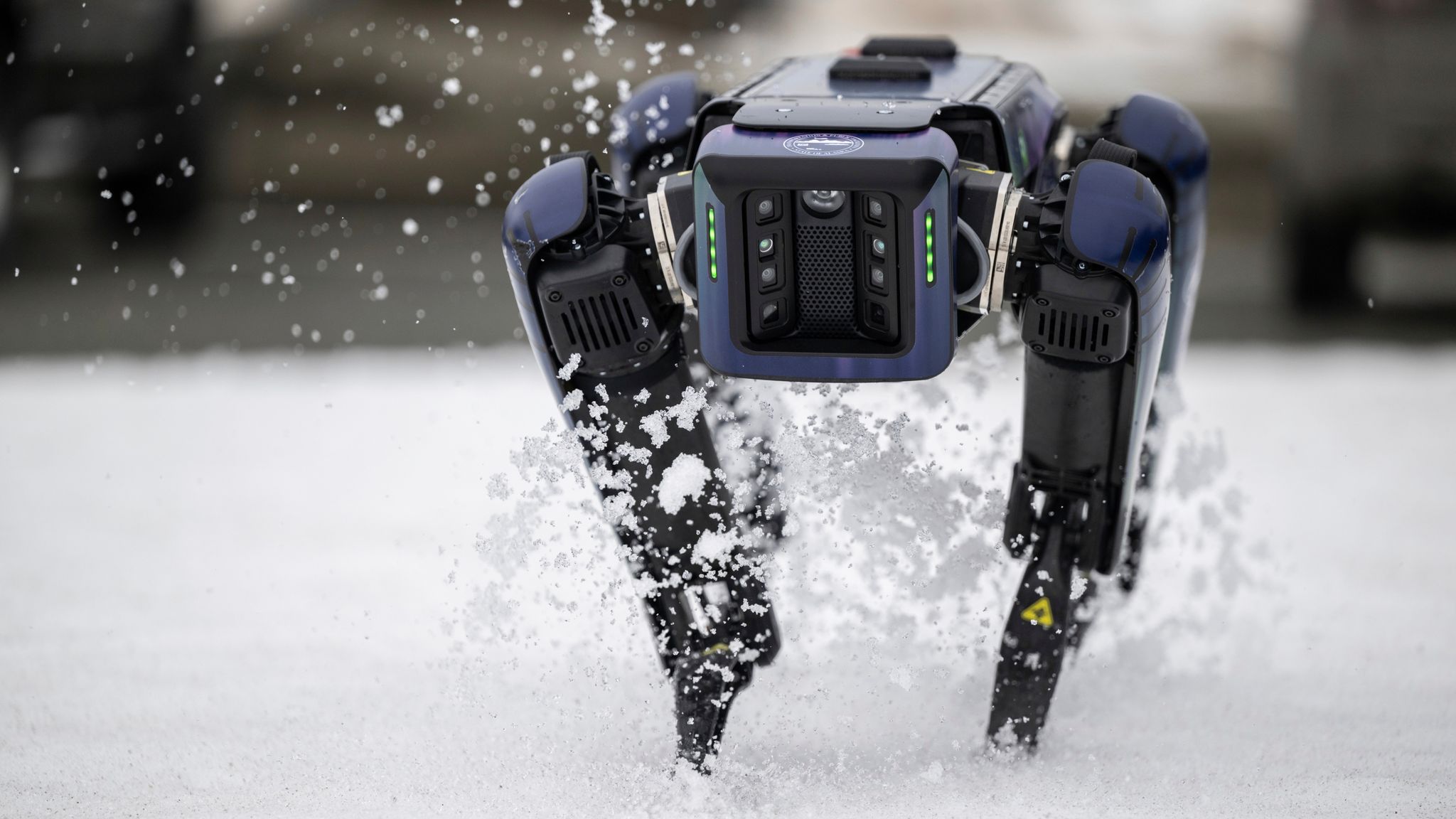 Headless, dog-sized robot to patrol Alaska airport to prevent bird ...