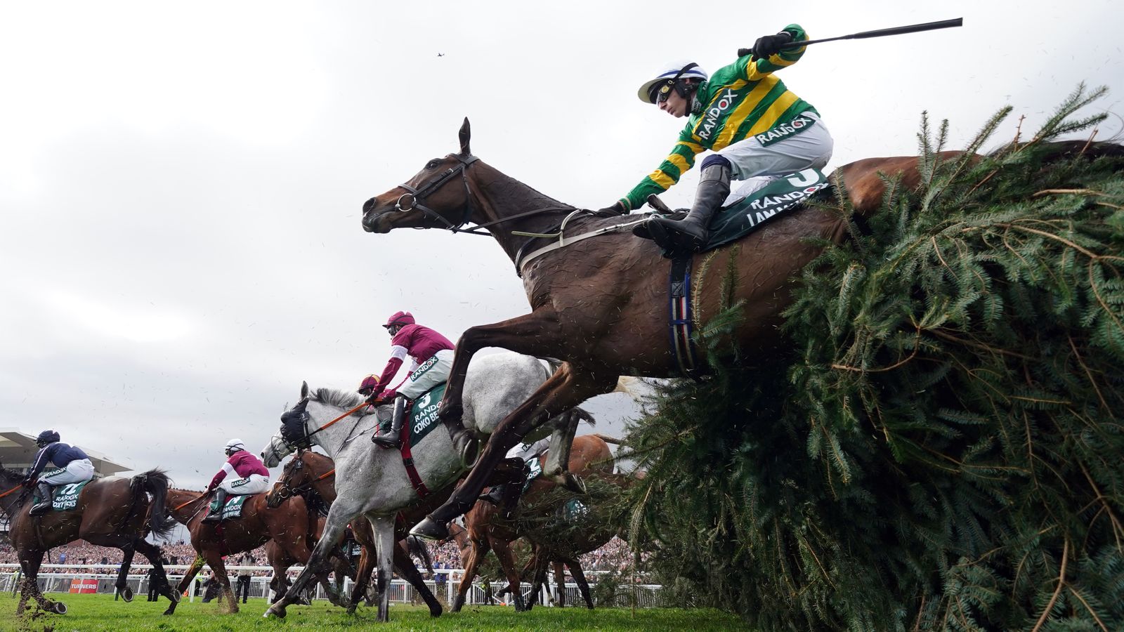 I Am Maximus wins Grand National - and no horses fall at this year's ...