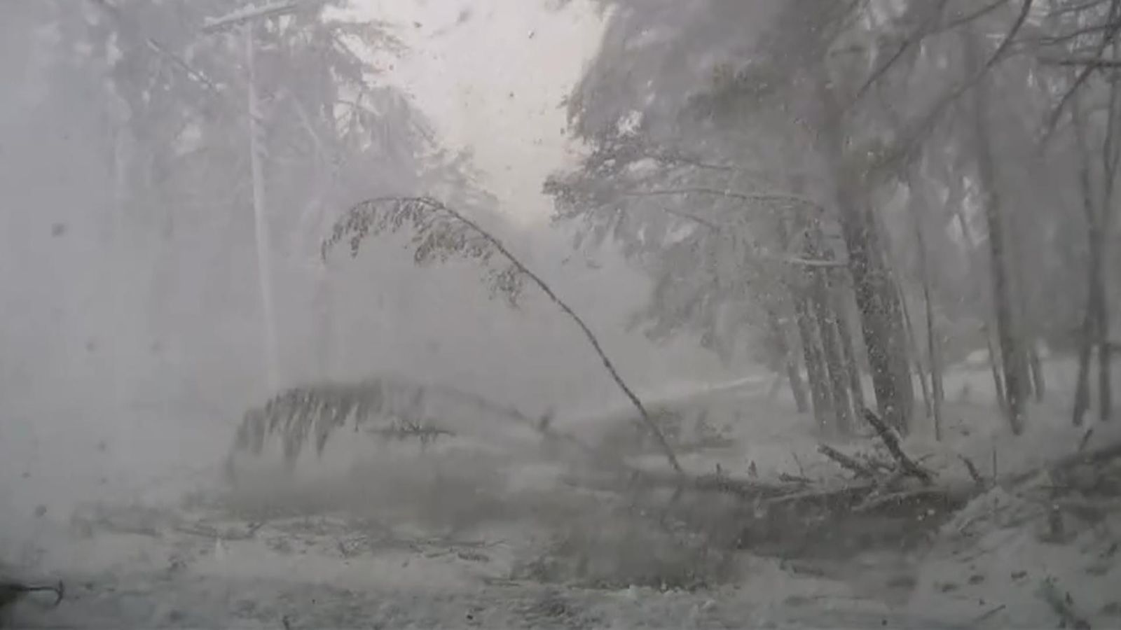 Moment police officer narrowly avoids being crushed by falling tree following snow storm | US ...