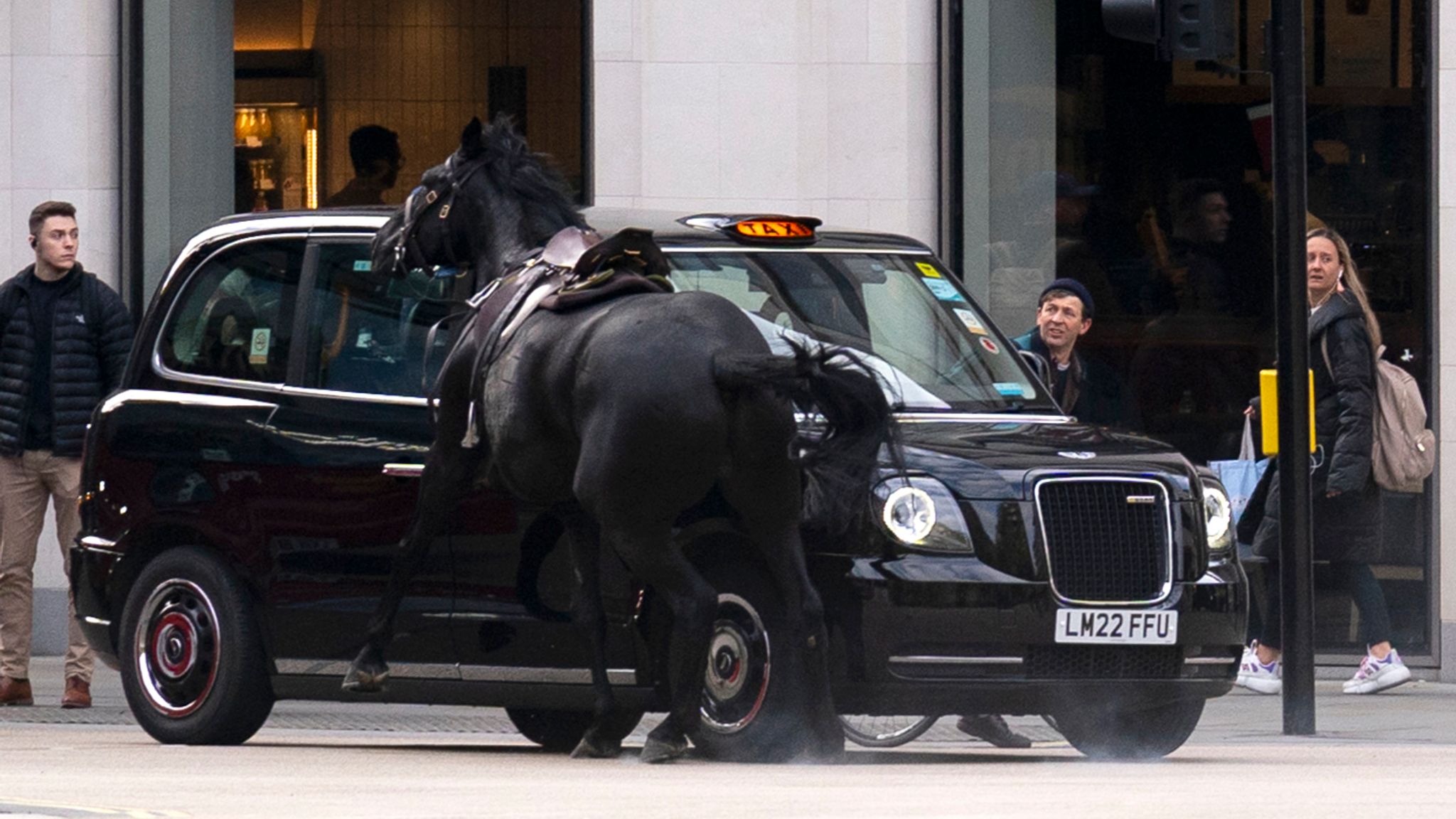 Horse that bolted through London retires | UK News | Sky News