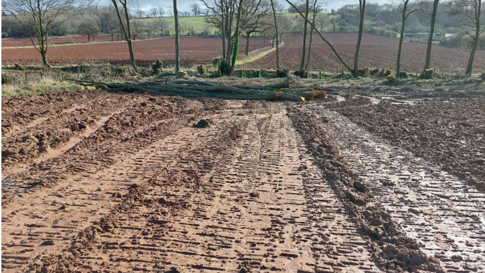 The little-known wildlife crimes that can get you arrested | UK News ...