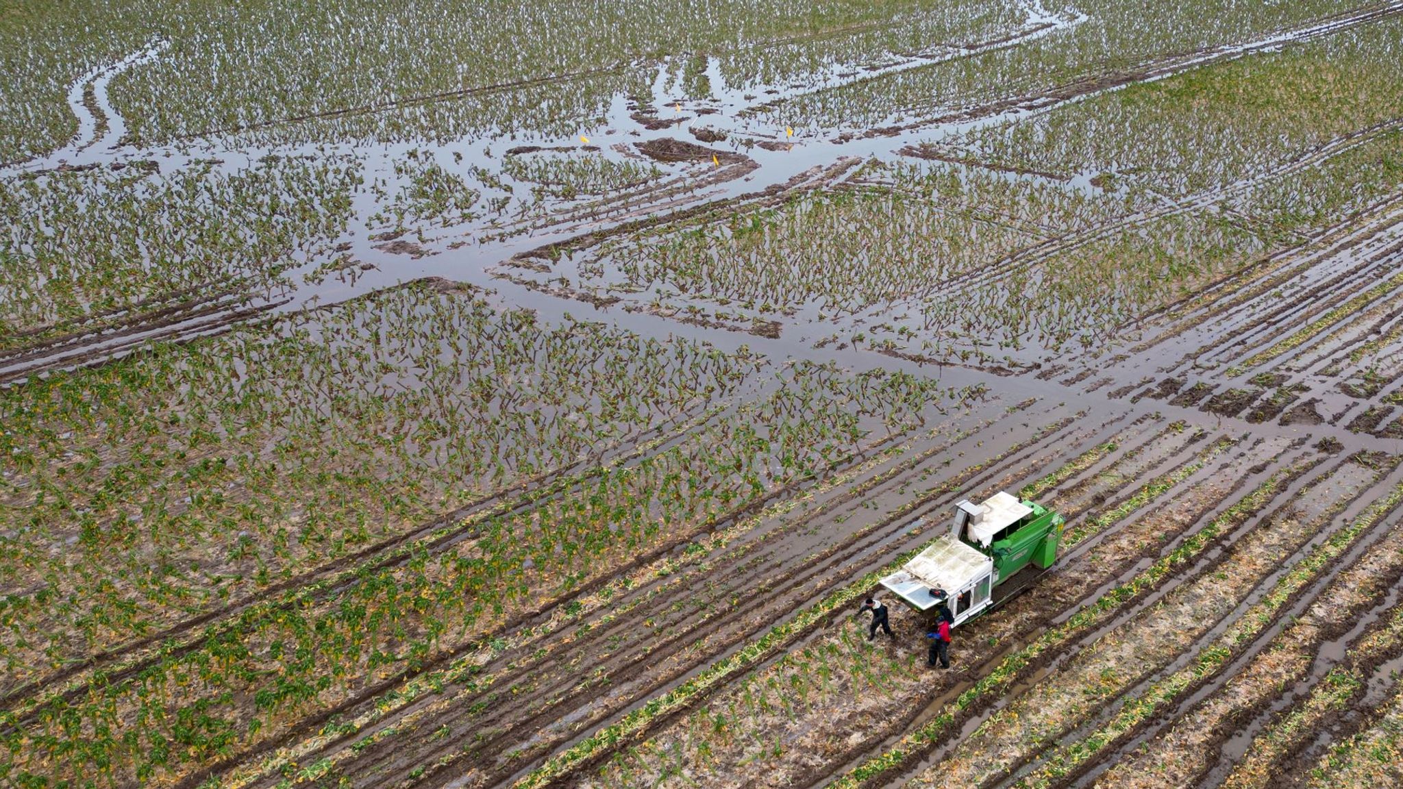 'A growing crisis': Extreme rainfall saturates farms - and may make ...