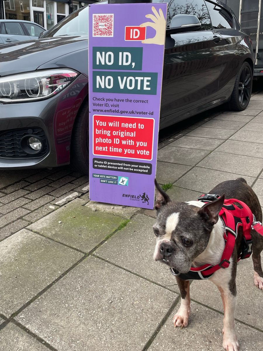 What counts as voter ID? What you need to know ahead of general ...