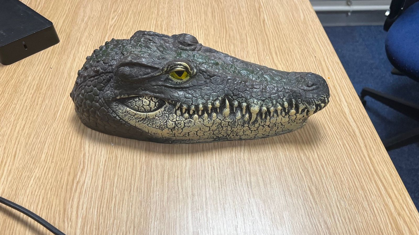 Crocodile: Reports of reptile in Buckinghamshire village investigated ...