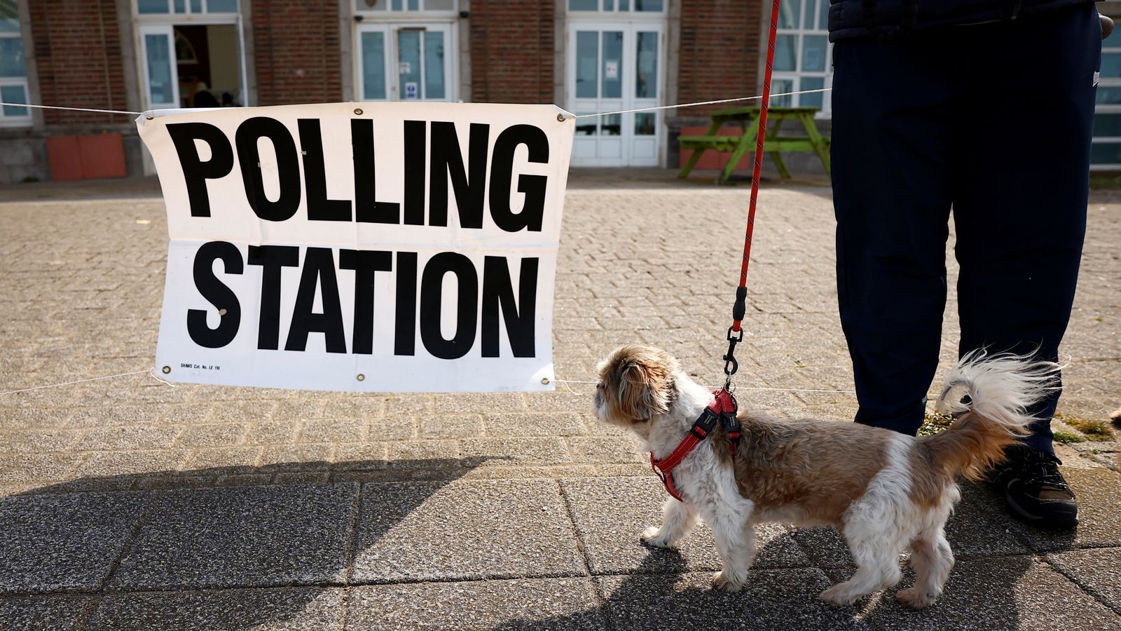 Dogs at polling stations: A round-up of democracy-loving pups on local ...
