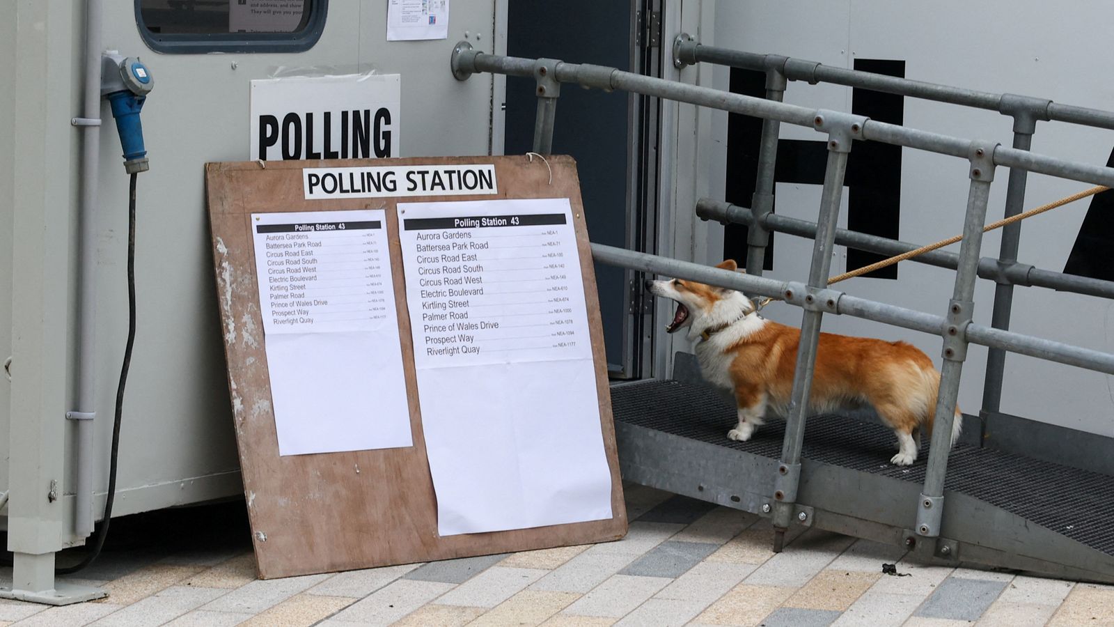 Dogs at polling stations: A round-up of democracy-loving pups on local ...