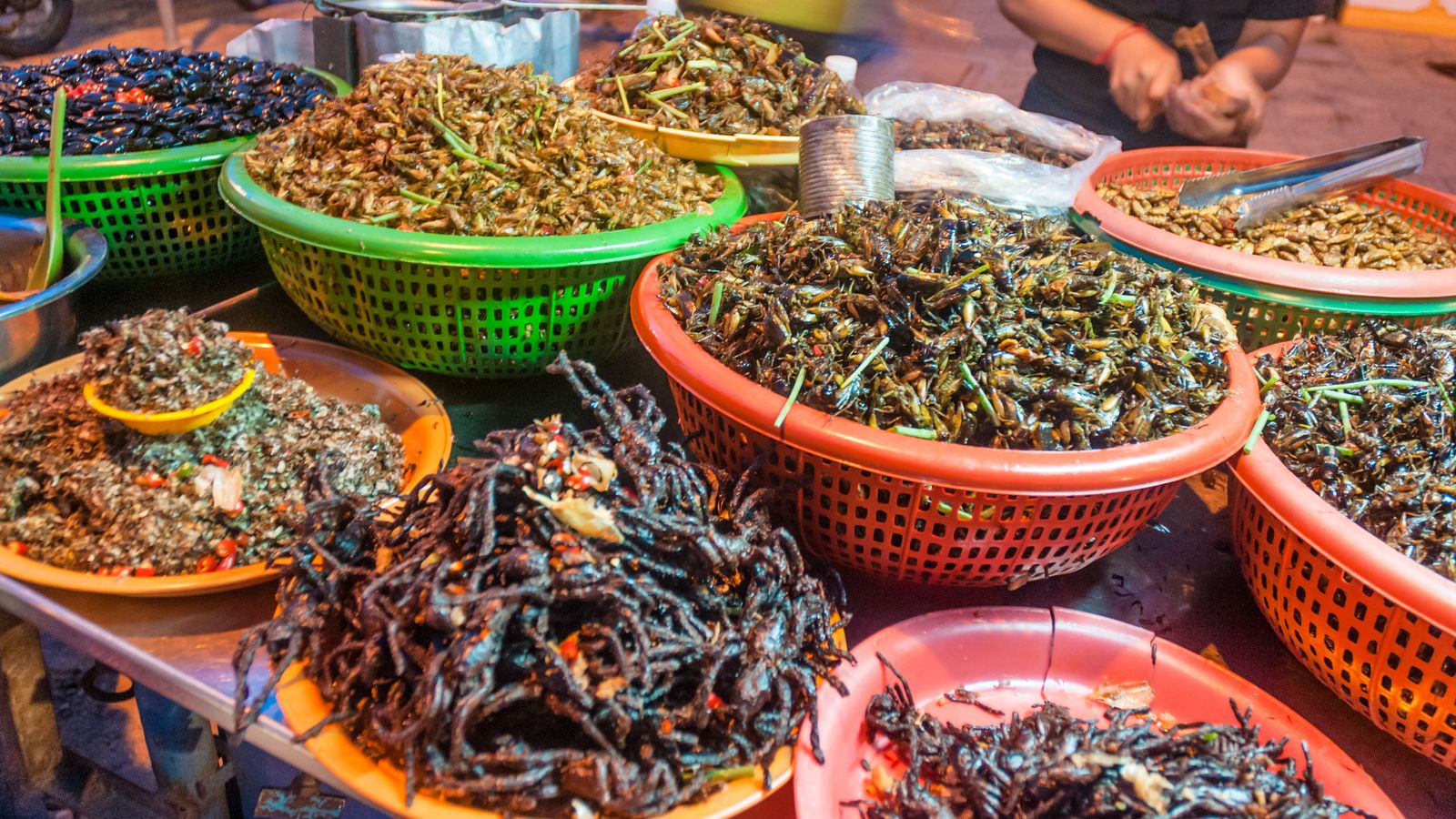 'Disgust factor' must be overcome if planet-friendly insect food to ...