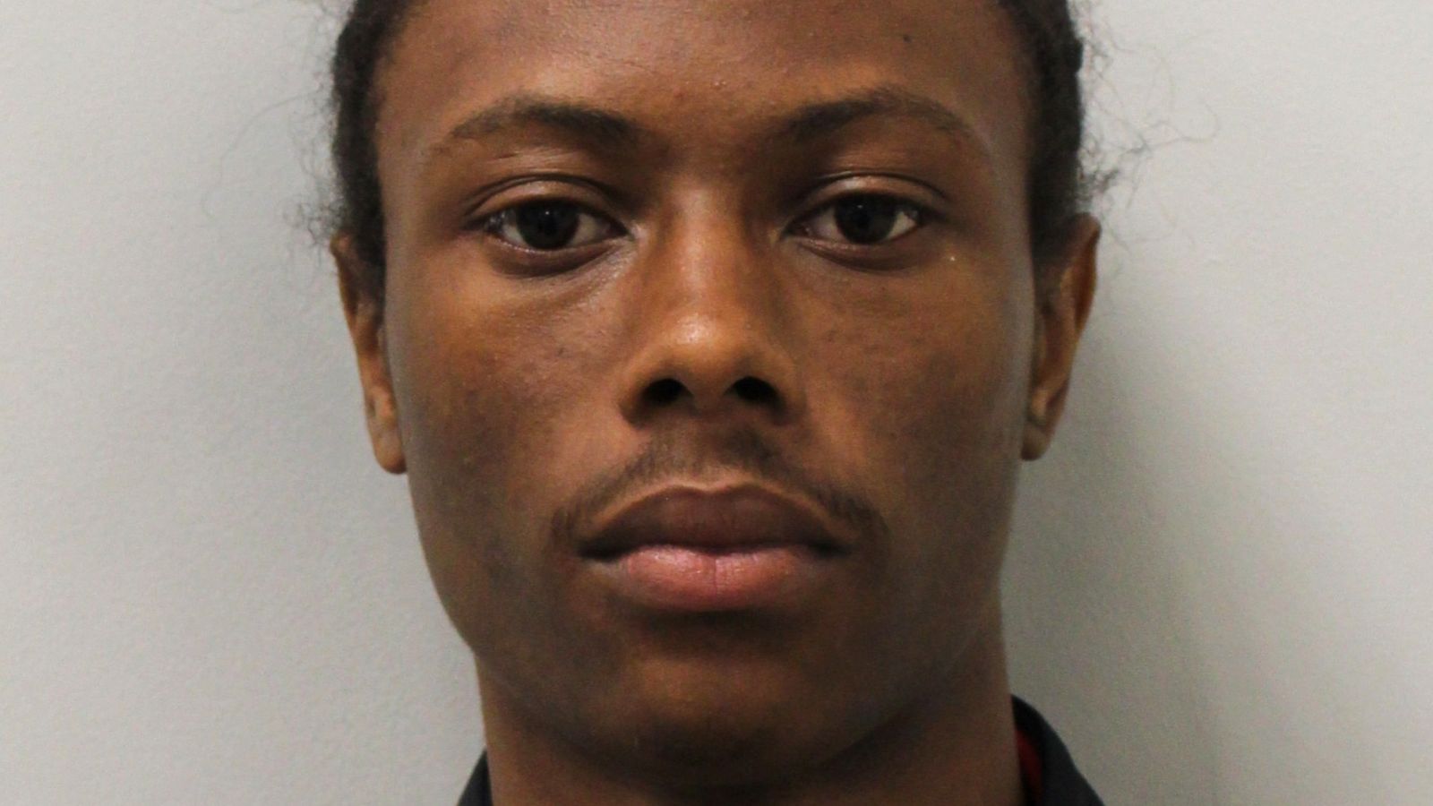 Police dog Monty praised for finding hidden cash that helped convict ...