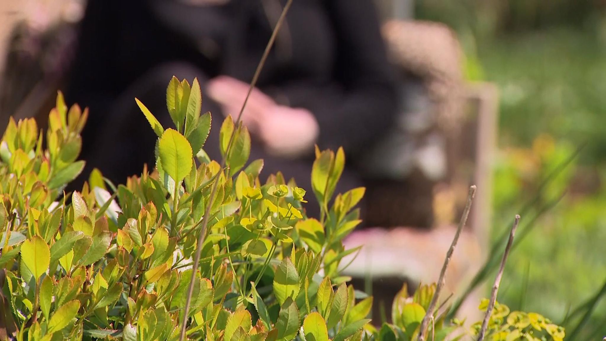 Mother whose abusive ex-partner broke her hand leads campaign to change ...
