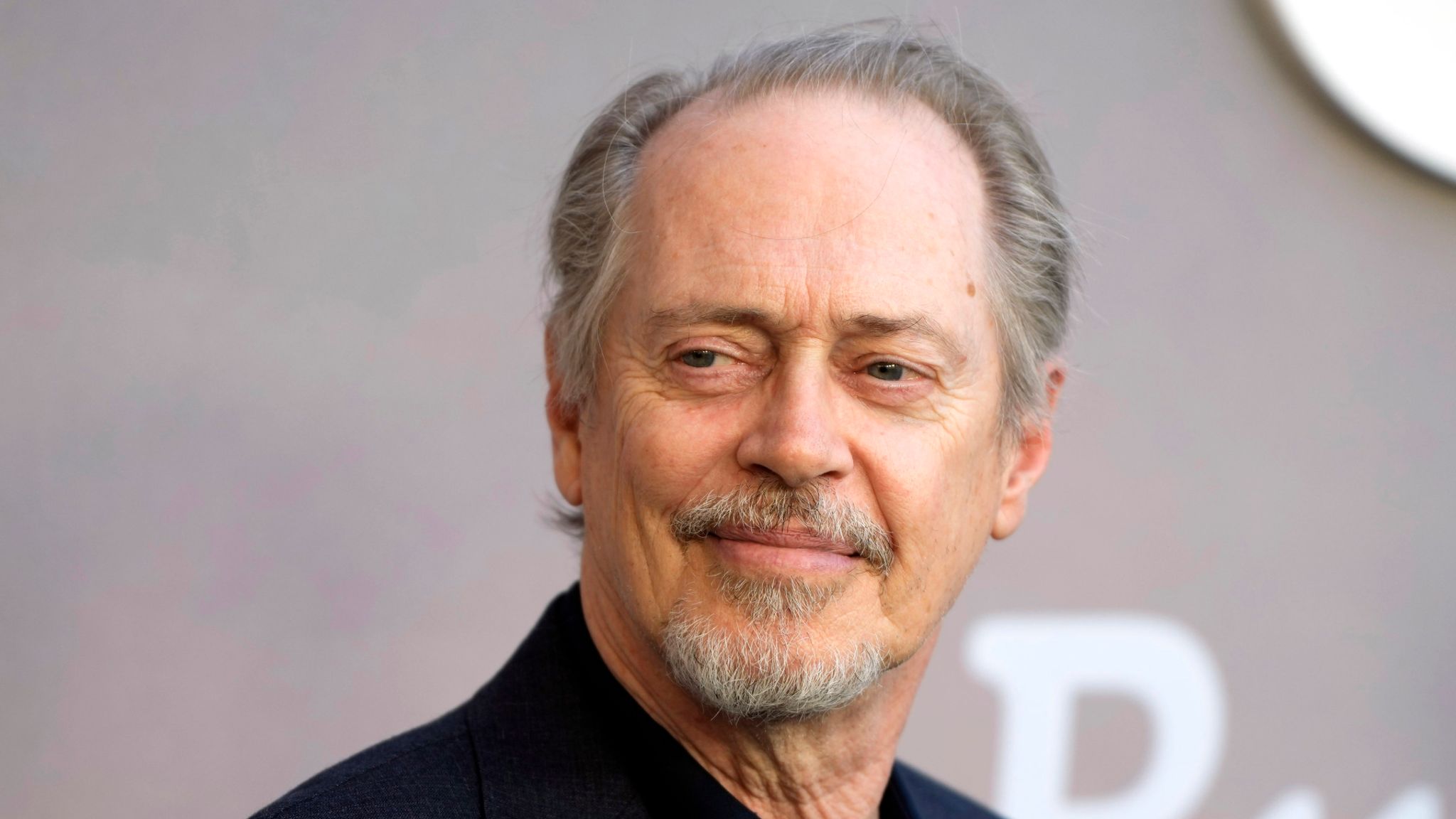 Steve Buscemi: Hollywood actor punched in the face on New York City ...