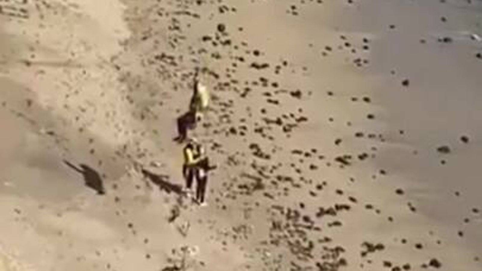 California: A kite surfer who became stranded near Davenport Landing ...