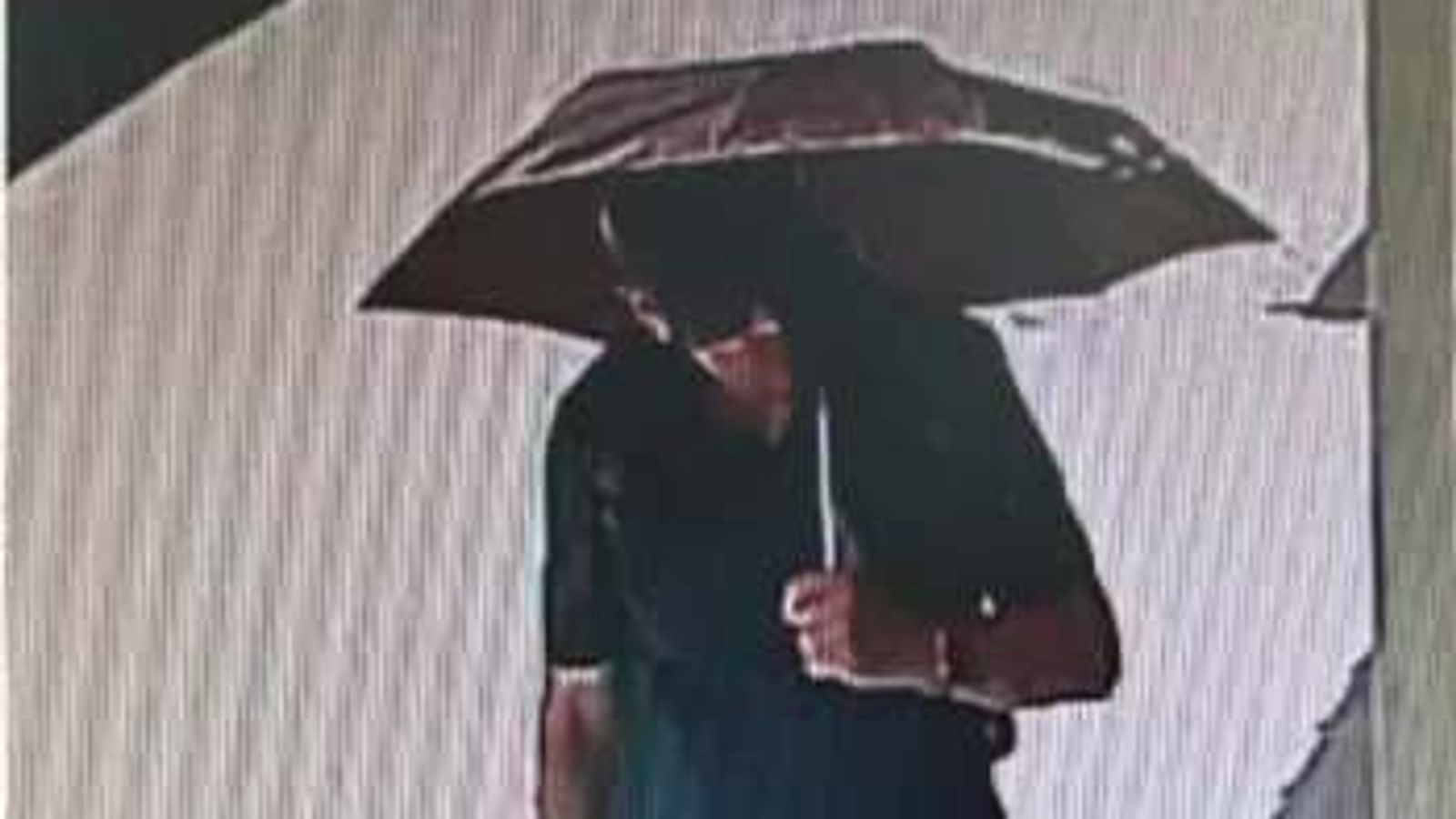 Michael Mosley: Last known movements of missing TV doctor on Greek ...