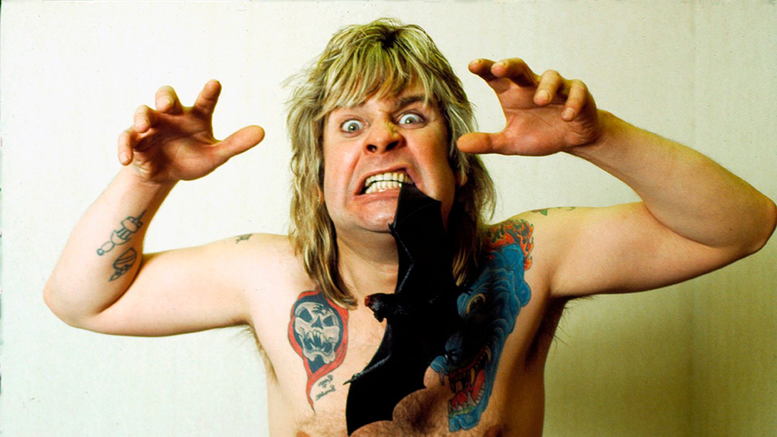 Taylor Momsen nicknamed 'bat girl' after bat bites her during rock show ...