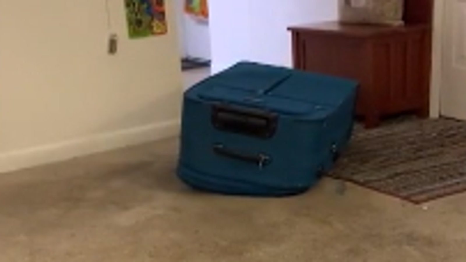 Murder suspect to face trial accused of leaving boyfriend to die in ...