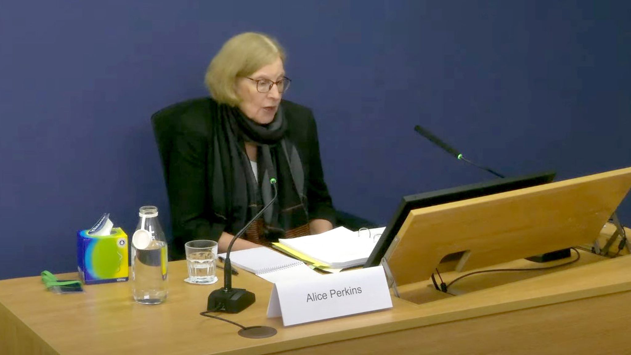 Former Post Office executive Alice Perkins was warned of Horizon 'real ...