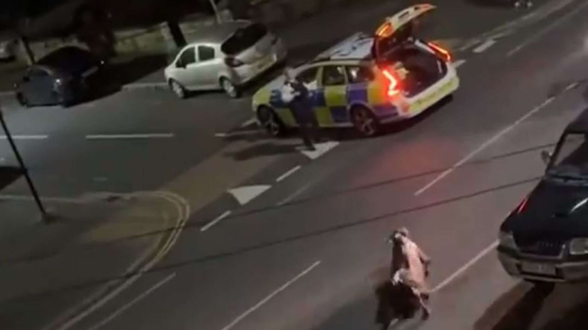 Police officer who hit cow with patrol car in Staines removed from ...