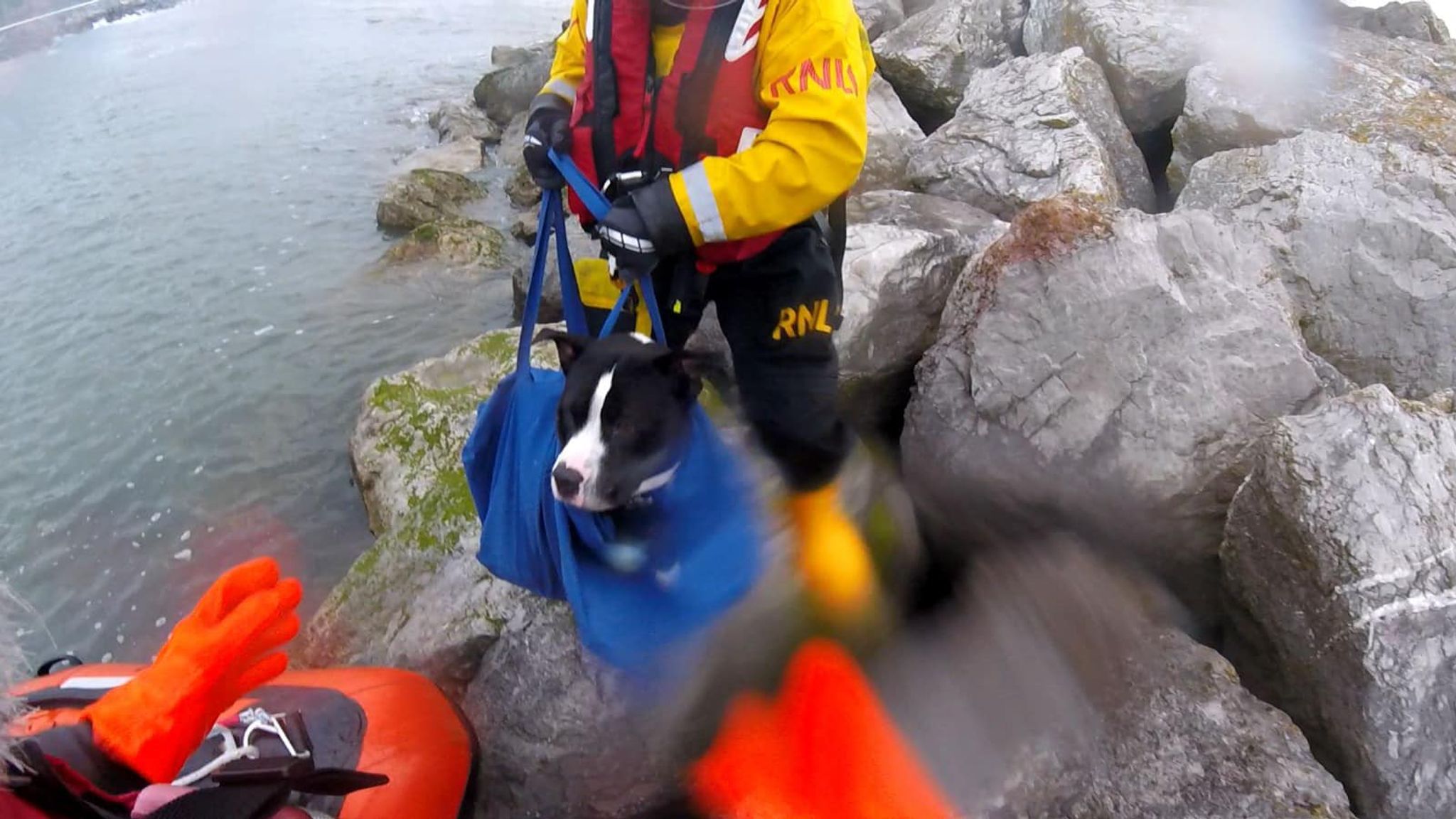 Dog and owner rescued by lifeboat after getting stranded on rocks | UK ...