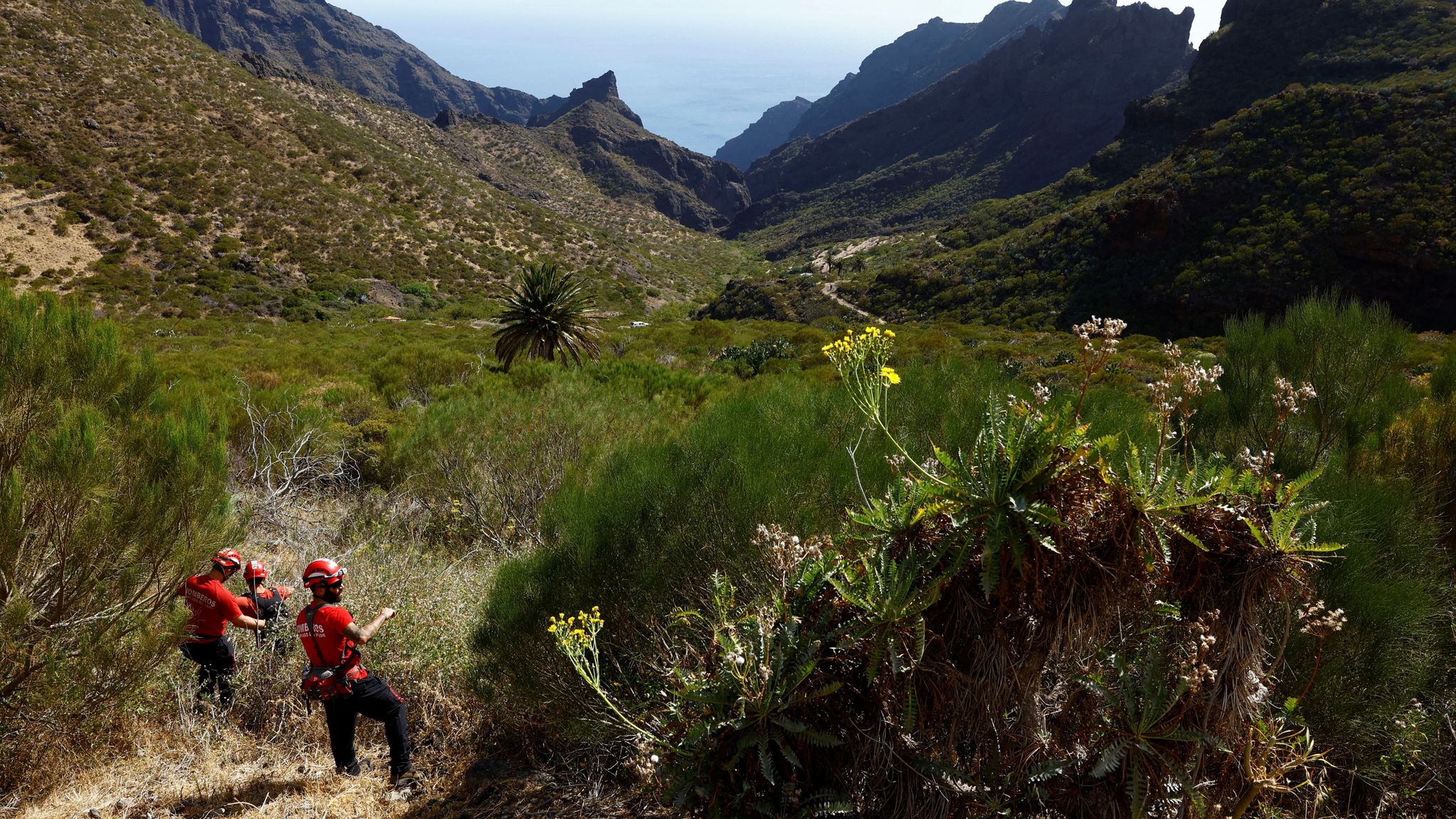 Today is 'key' in search for British teenager Jay Slater missing in ...