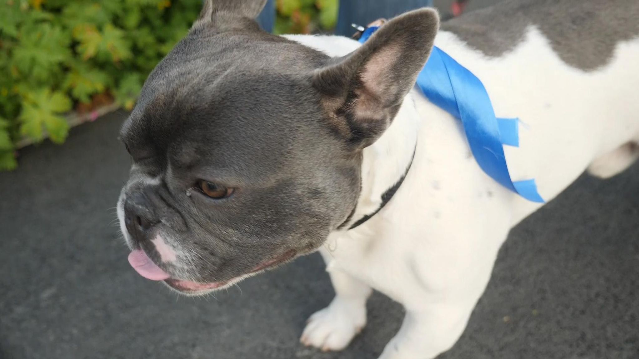 Jay Slater: Community rally at church as friends describe missing teen ...