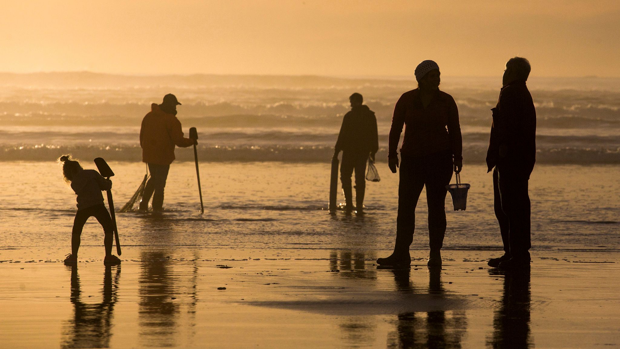 Oregon suffers 'unprecedented' shellfish poisoning outbreak as at least ...
