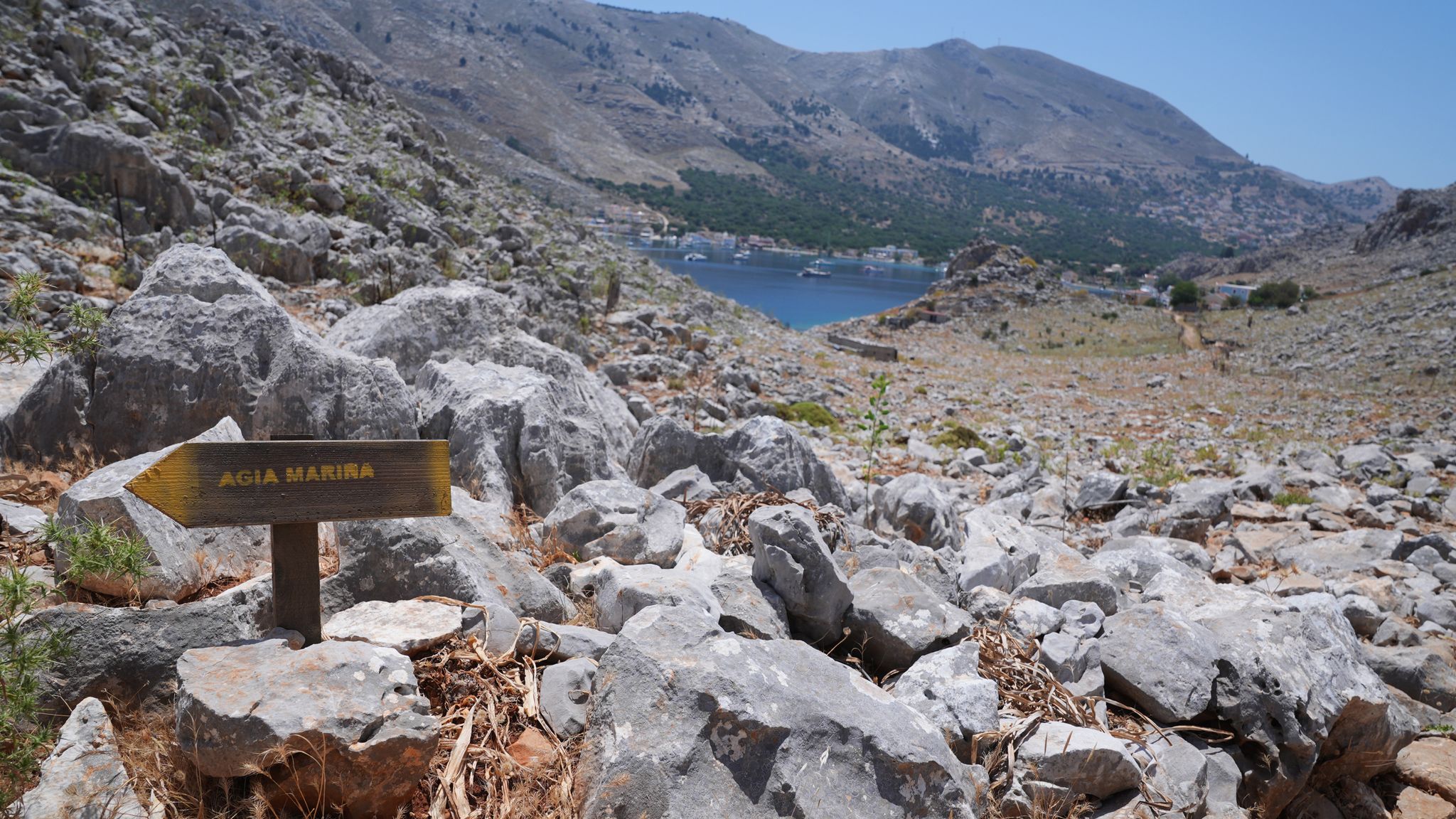 Dr Michael Mosley: Foul play ruled out in TV doctor's death - as CCTV ...