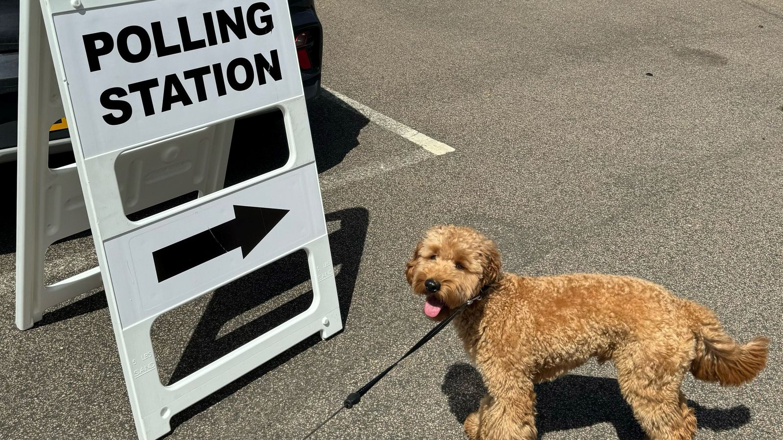 Dogs at polling stations: Your best pictures as general election takes ...