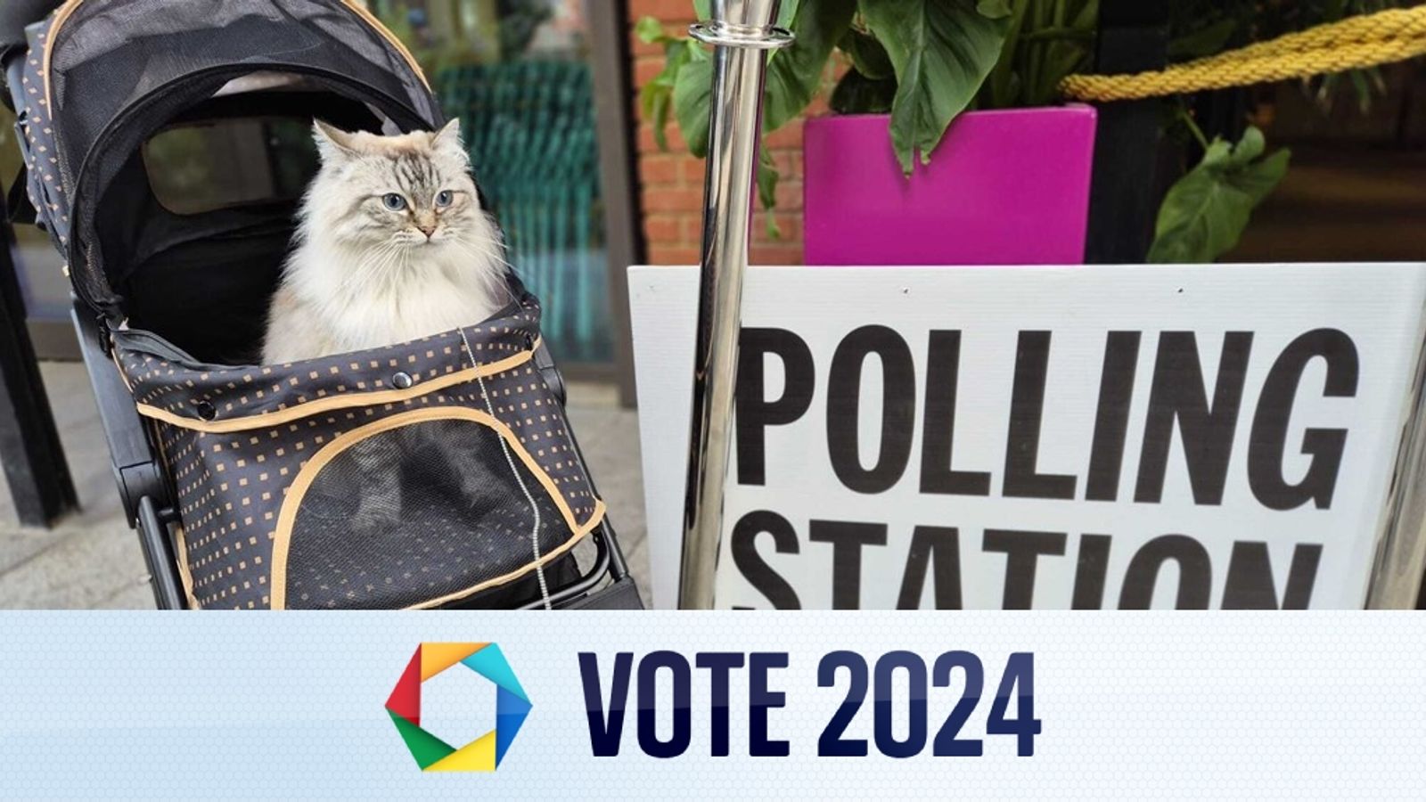 Election latest: Polls close soon... Here's the best dogs, cats and ...