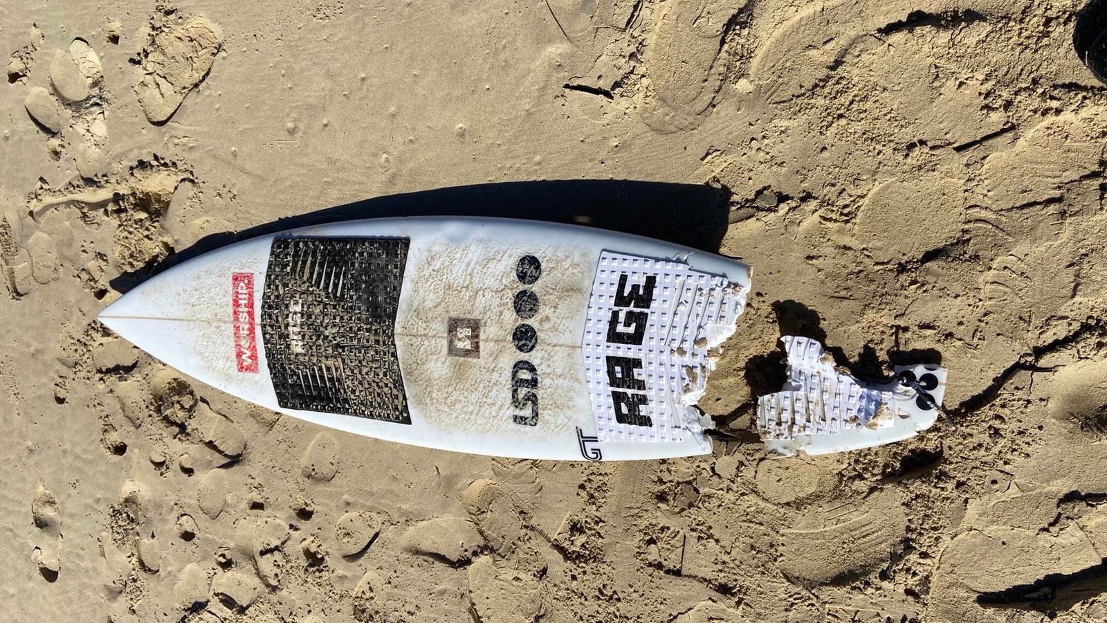 Surfer's leg washes up after shark attack - and doctors work to ...