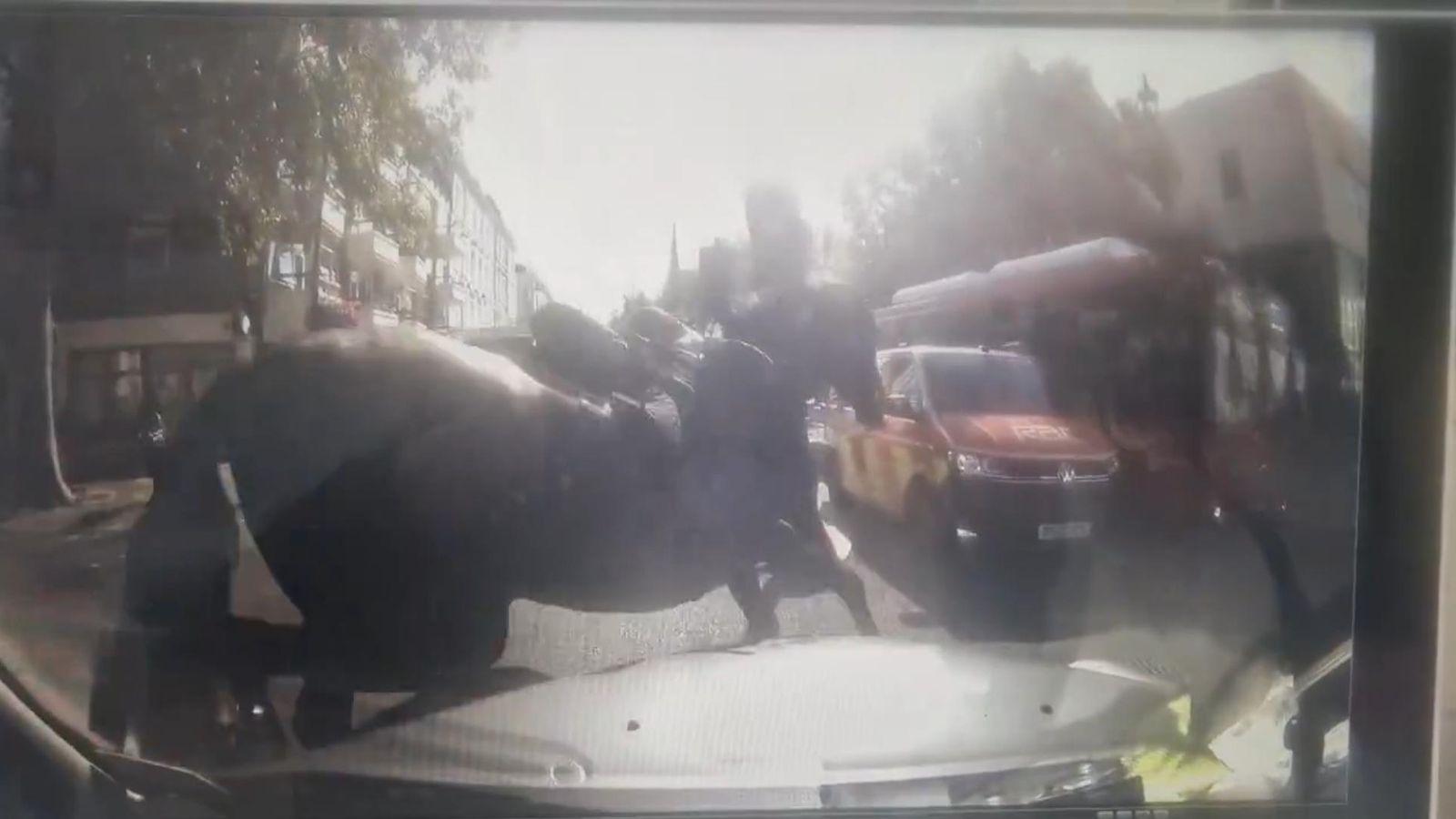 Military horses were seen bolting through London after losing their ...