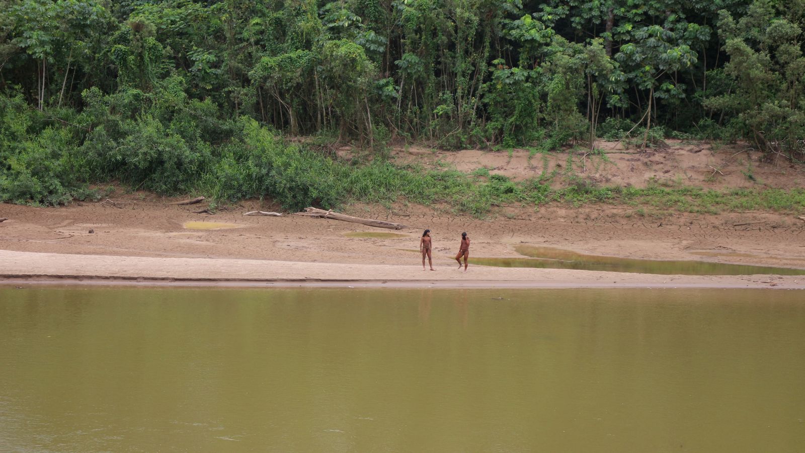 Rare video of uncontacted tribe shows members emerging from Amazon ... Rare video of uncontacted tribe shows members emerging from Amazon ...
