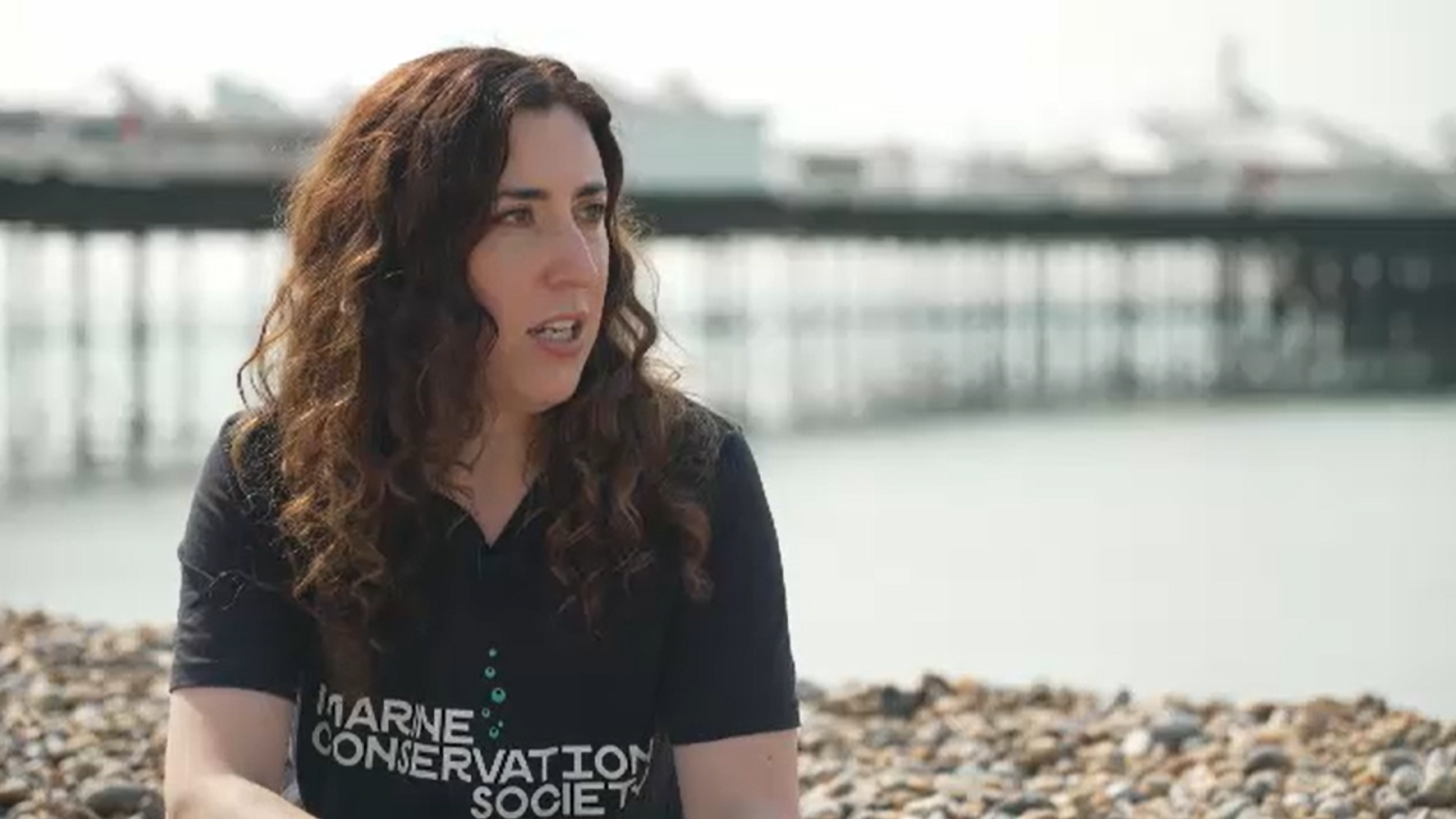 Could a tax on plastic bottles solve the pollution problem on UK shores ...