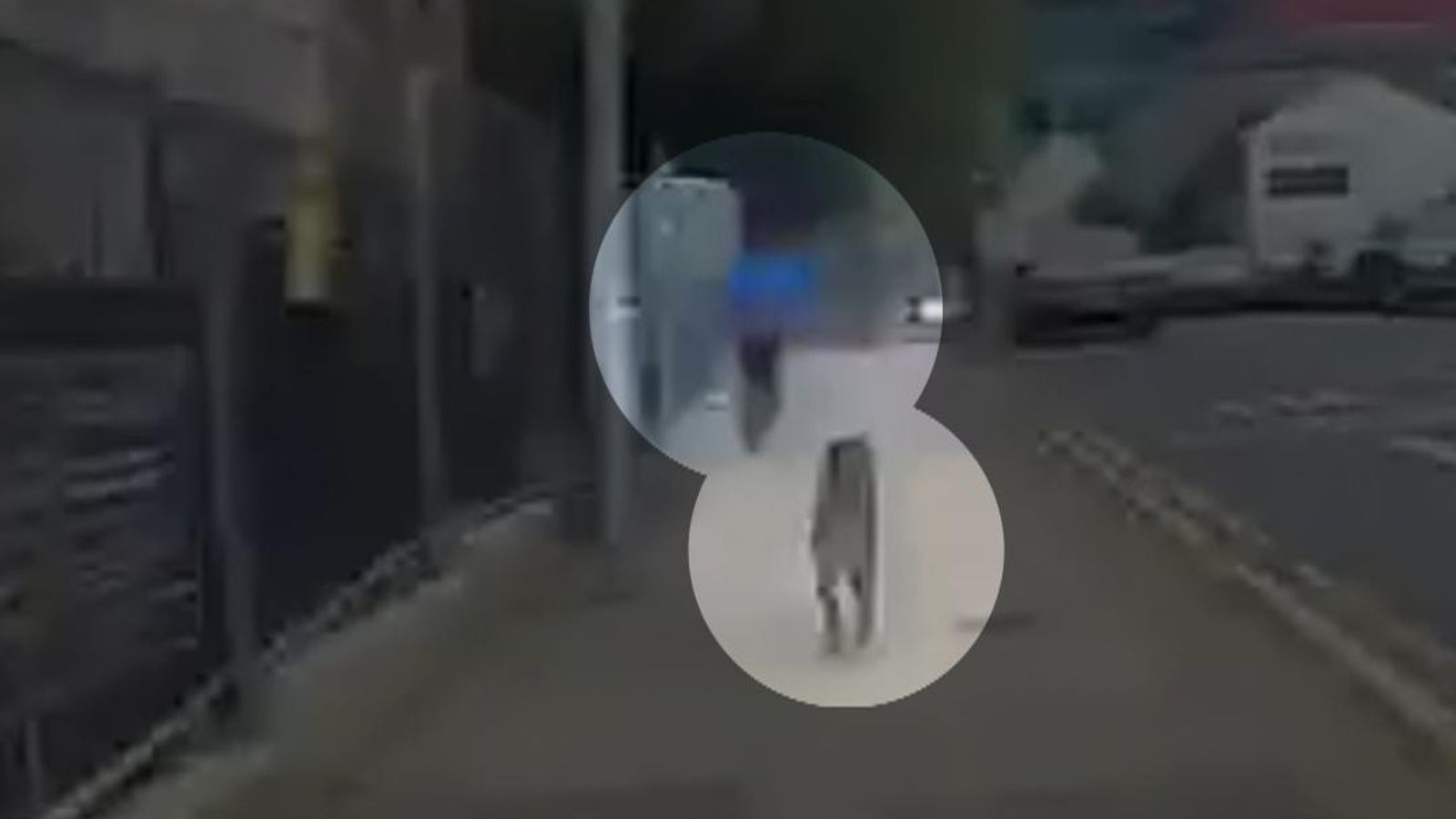 Barnsley: Police dog pursues and catches suspect after high-speed chase ...