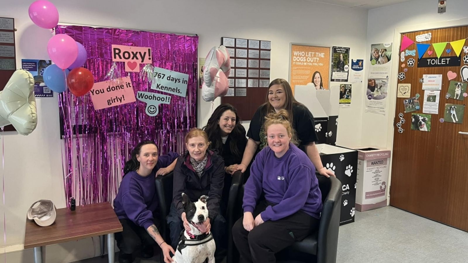Scotland's 'loneliest dog' Roxy finds forever home after 767 days at ...