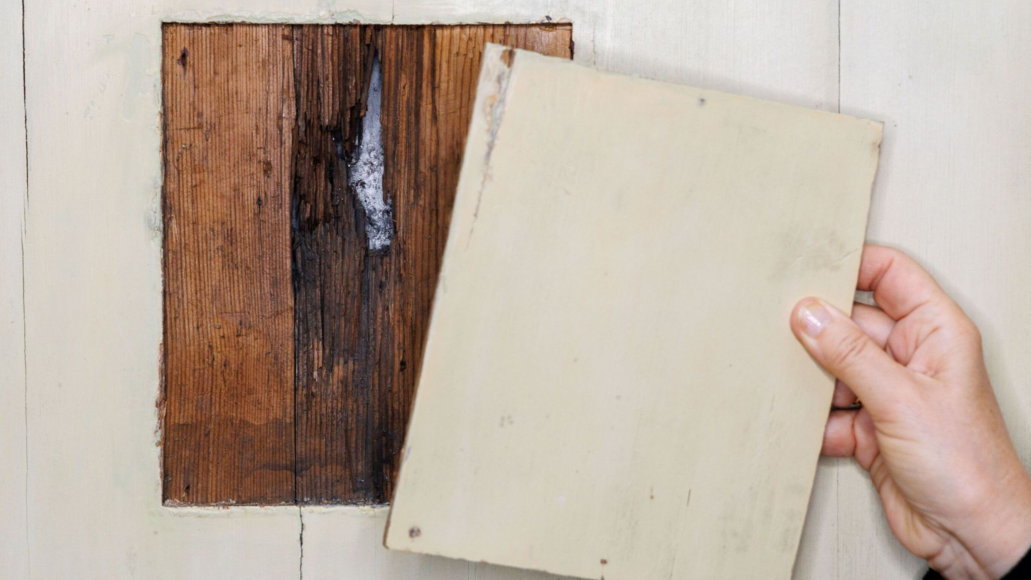 Bullet Hole Could Be Proof Of Bonnie Prince Charlie Assassination