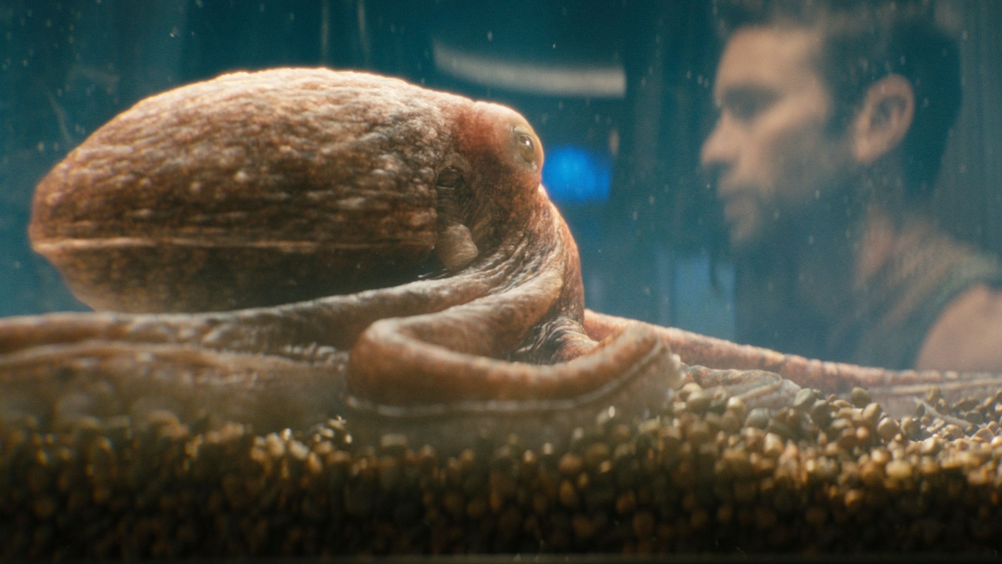 The Boys: Chace Crawford says octopus sex scene came as a total shock ...