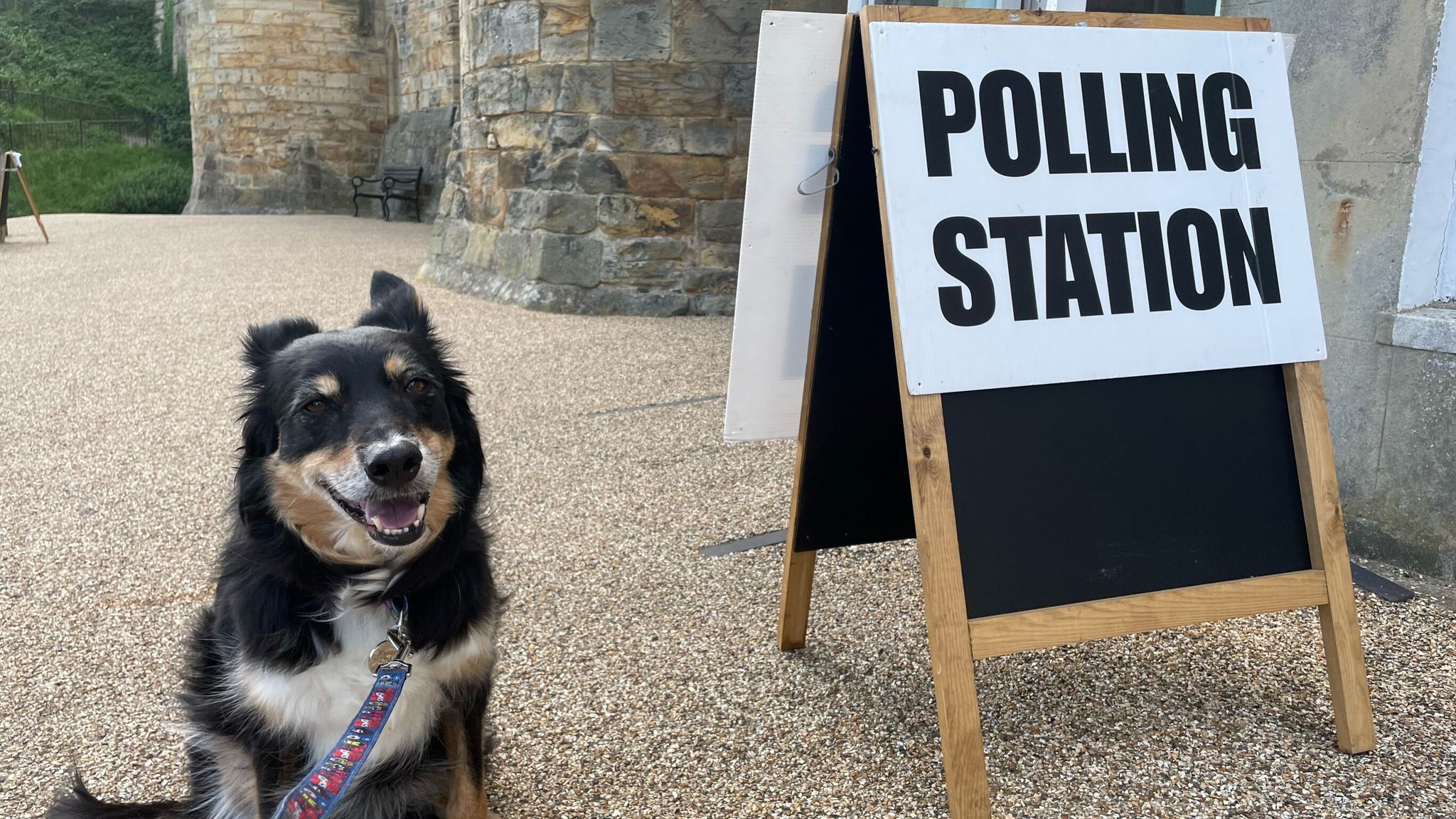 Dogs at polling stations: Your best pictures as general election takes ...