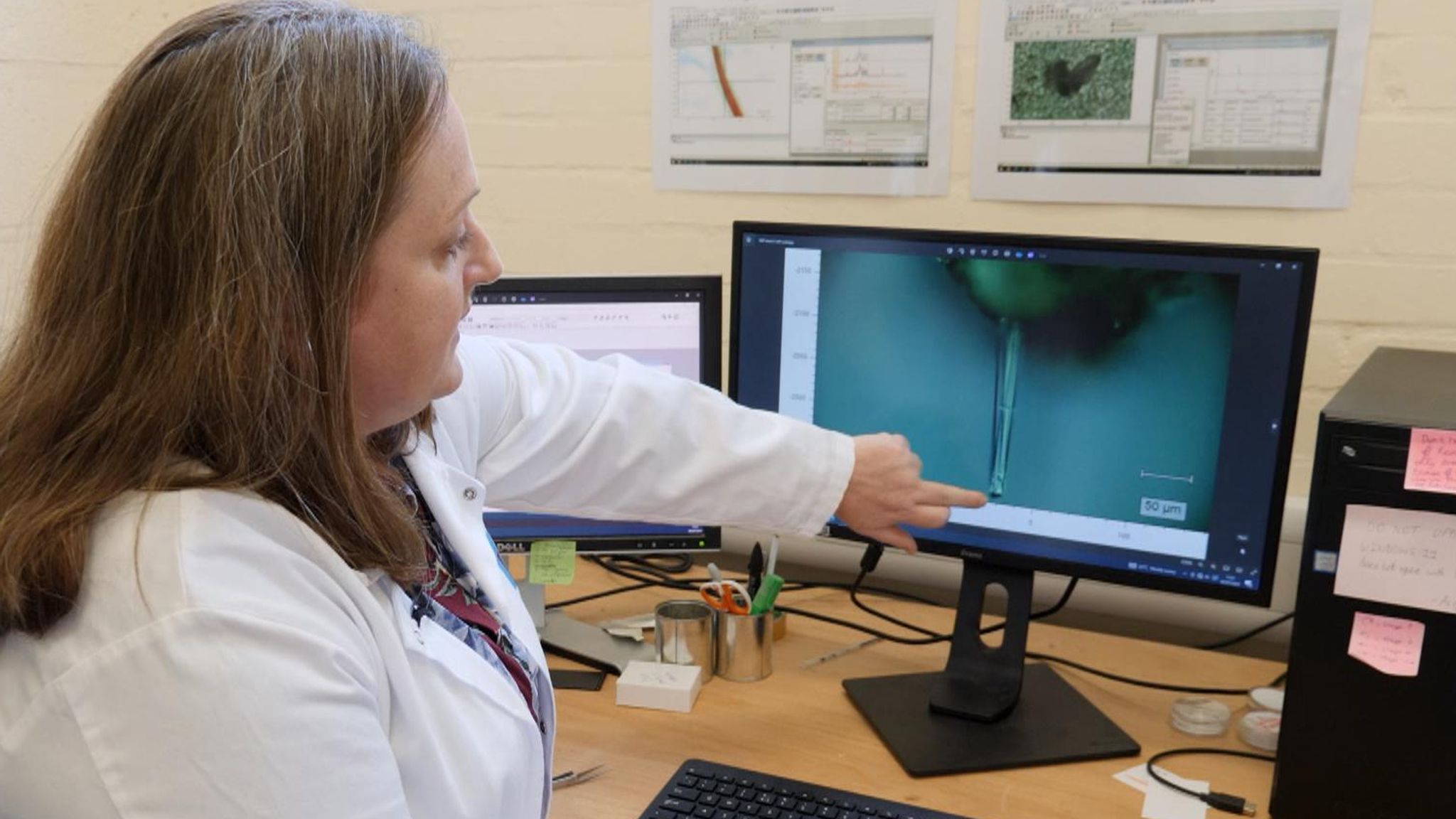 Fibreglass from boats found in marine food chain for first time ...