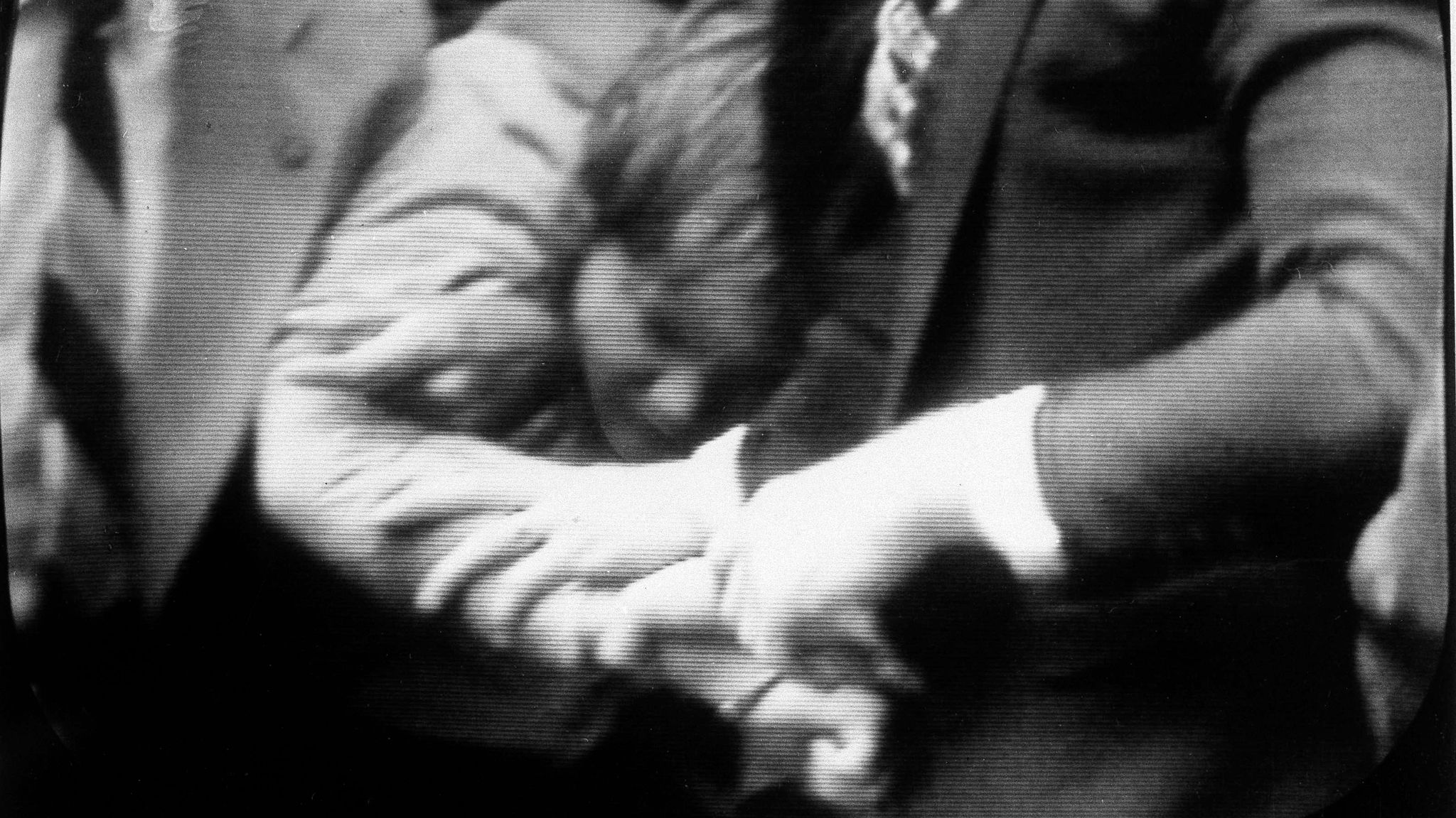 Trump assassination attempt: Here's a list of US presidents and ...